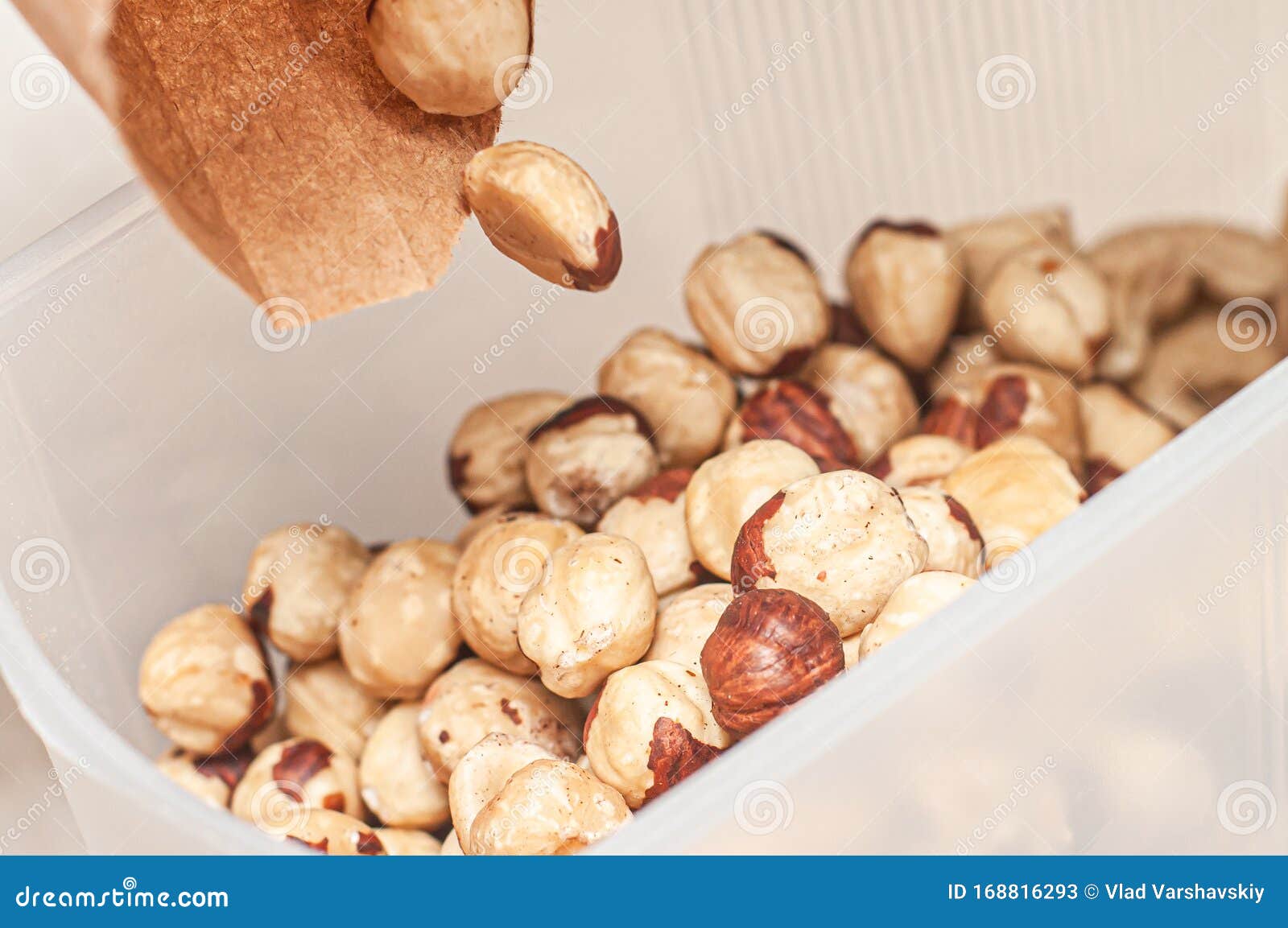Pour Hazelnuts into Storage Container. Stocks of Nuts for the Winter ...
