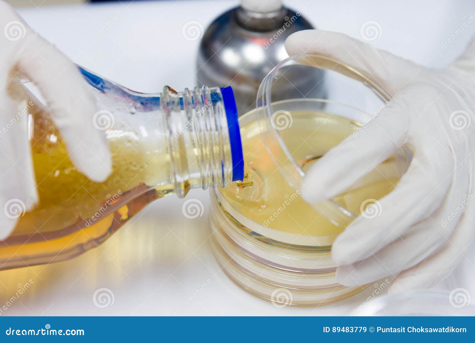 The Pour Plate method stock image. Image of health, media - 89483779