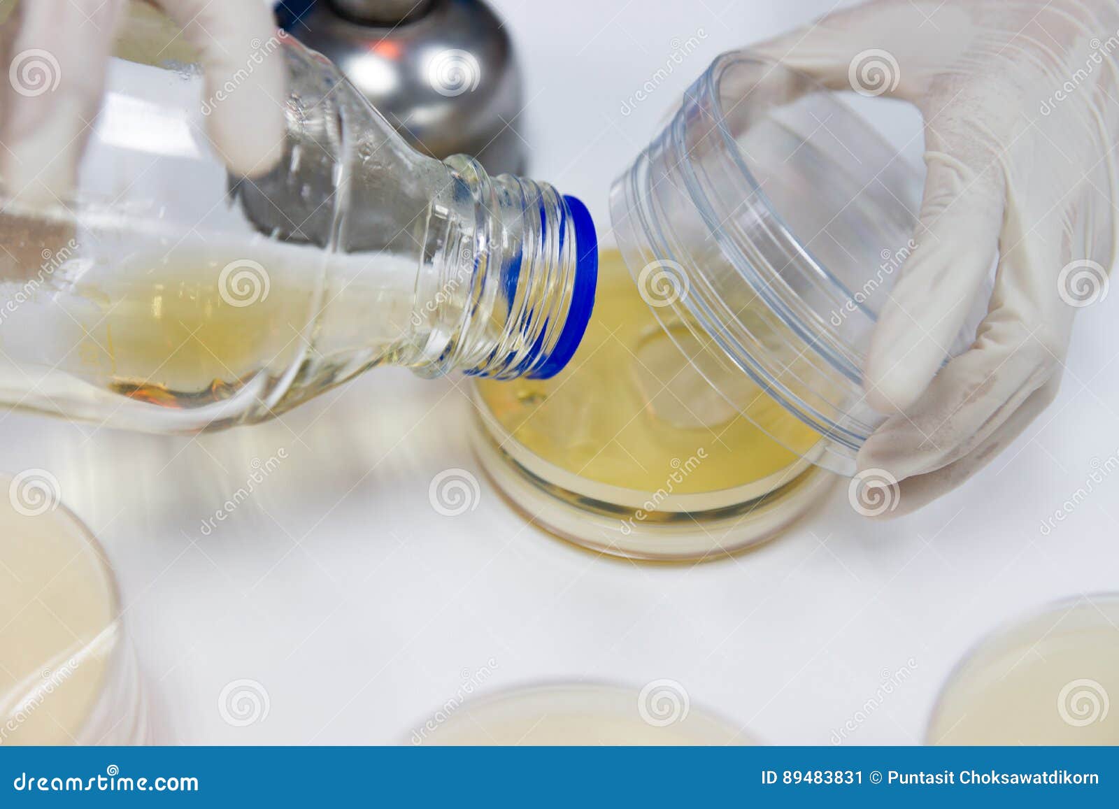 The Pour Plate method stock image. Image of dish, method - 89483831
