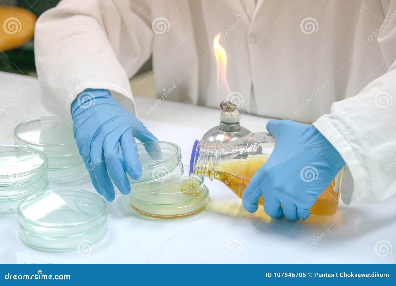 The Pour Plate Method Where in the Sample is Suspended Stock Image ...