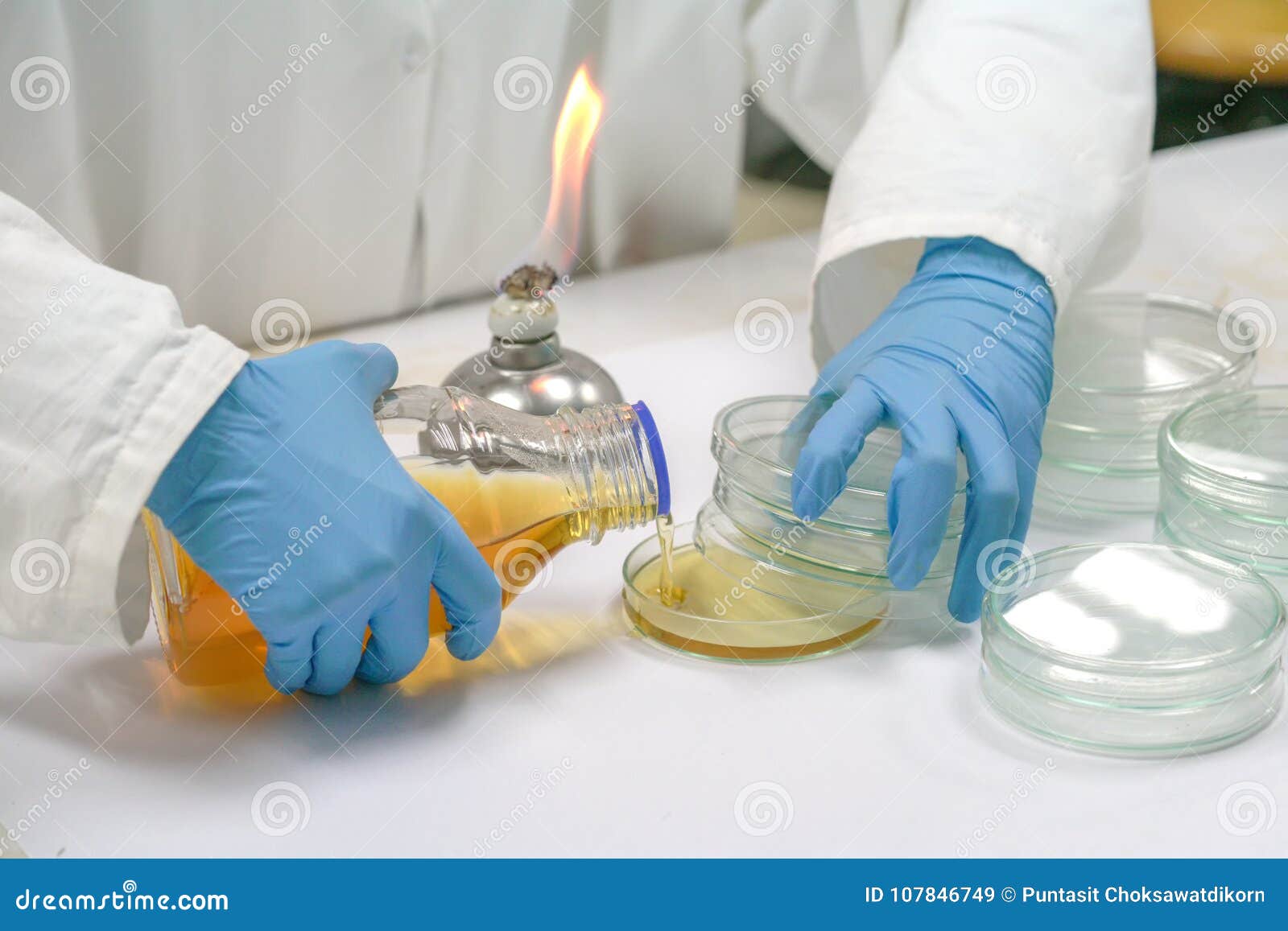 The Pour Plate Method Where in the Sample is Suspended Stock Image ...