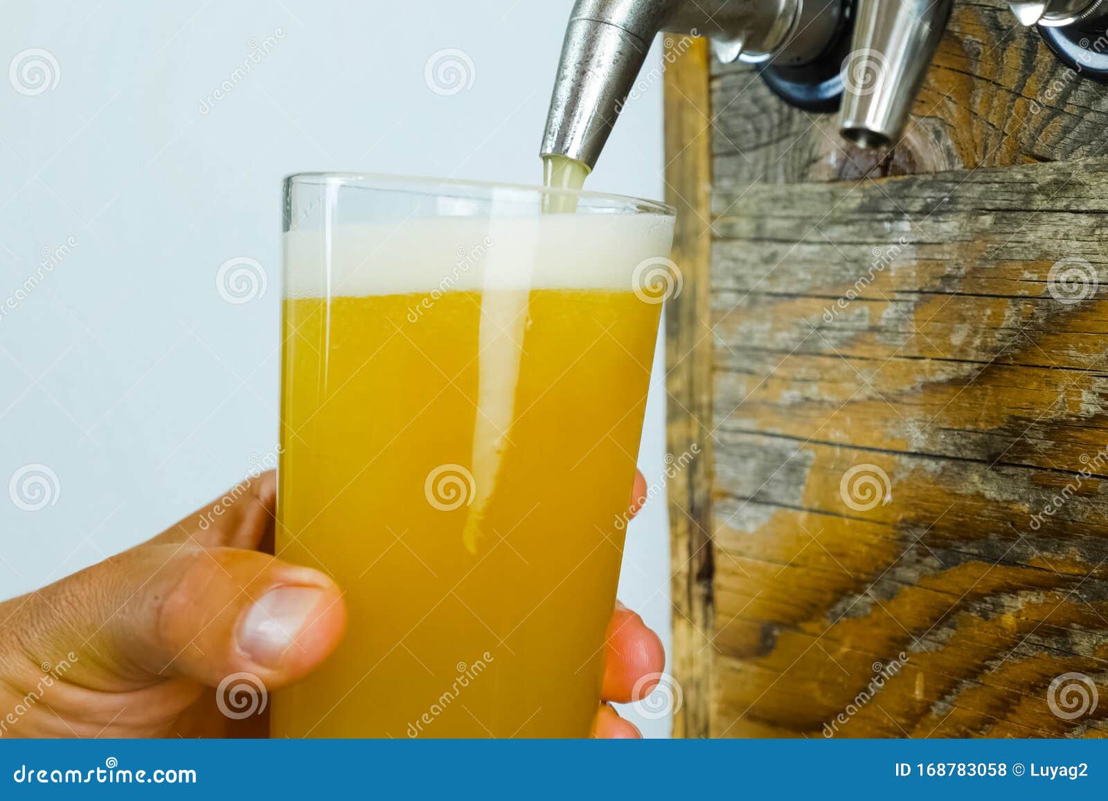 Pouring Beer Into A Glass From The Tap At Bar Beer Bottling Stock