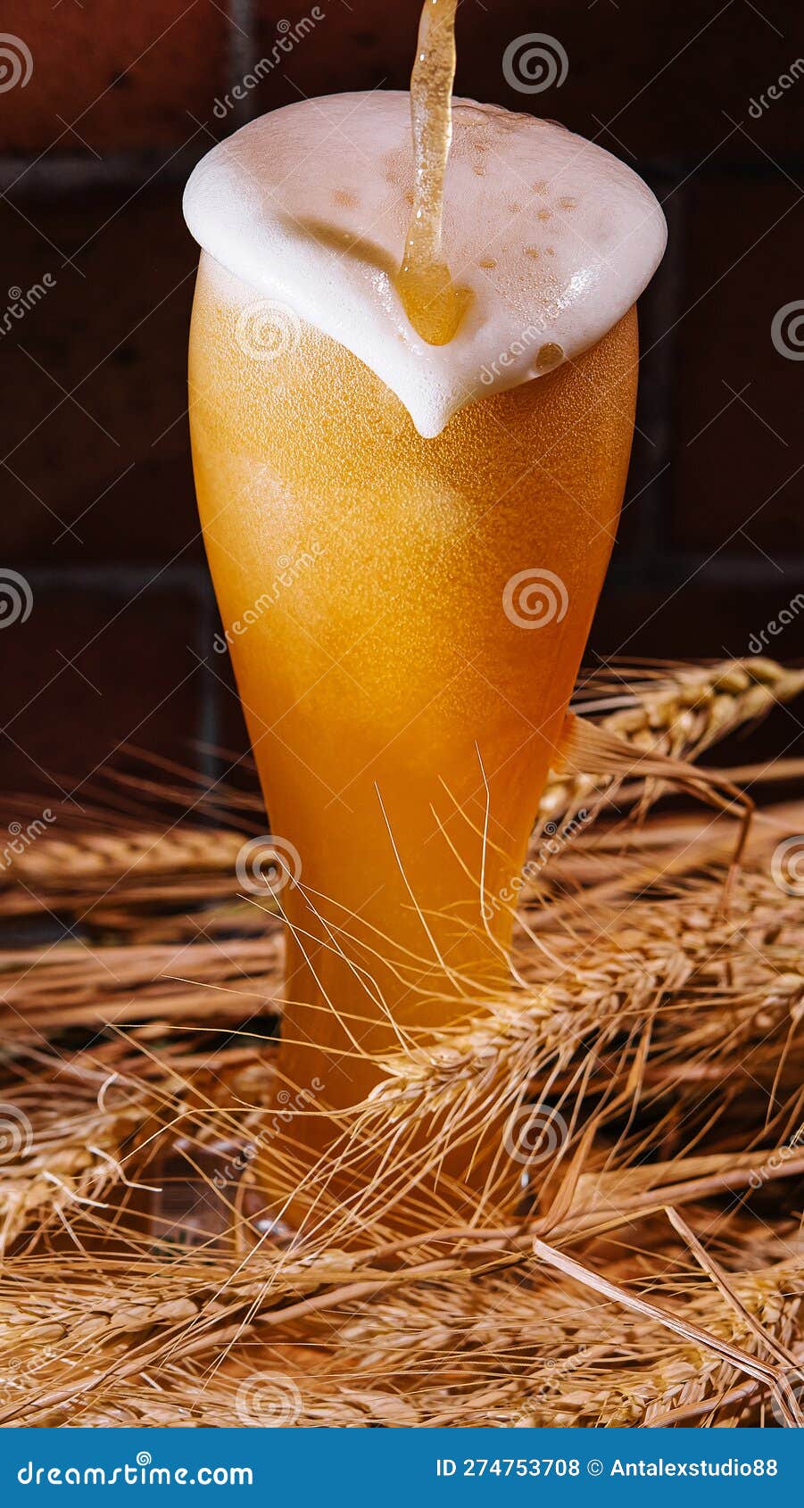 Pouring Beer into Glass with Wheat Ears Stock Photo - Image of studio ...