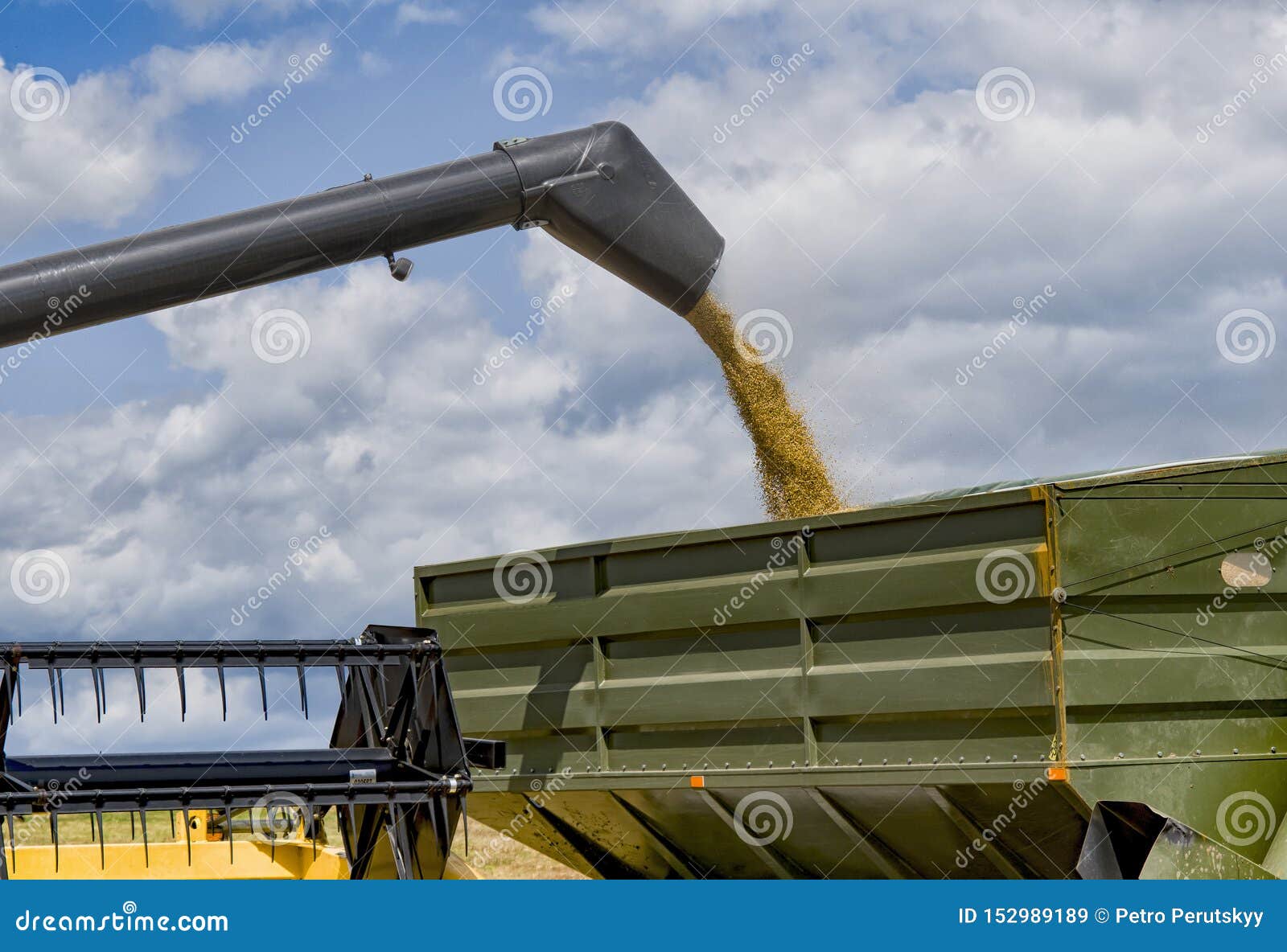 Pouring grain stock image. Image of land, machinery - 152989189