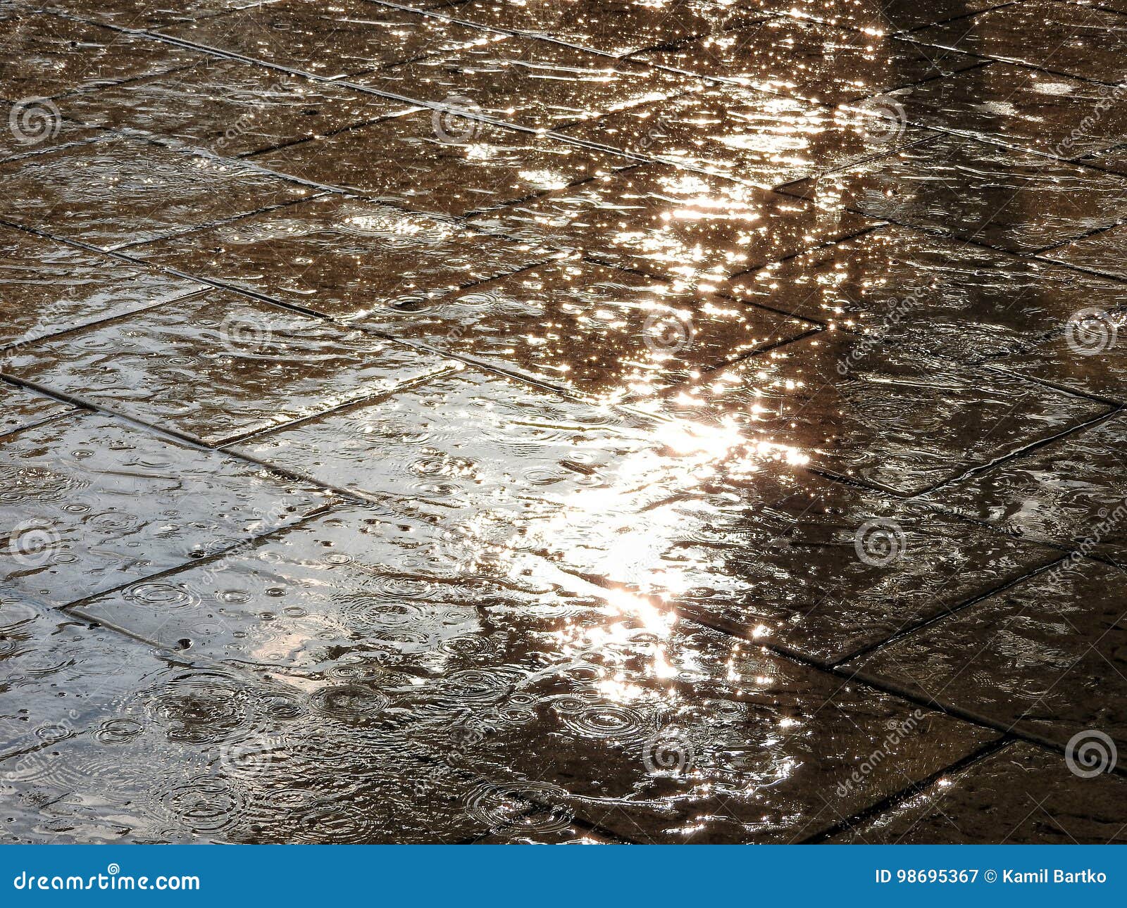 Pouring rain stock image. Image of tears, washed, away - 98695367