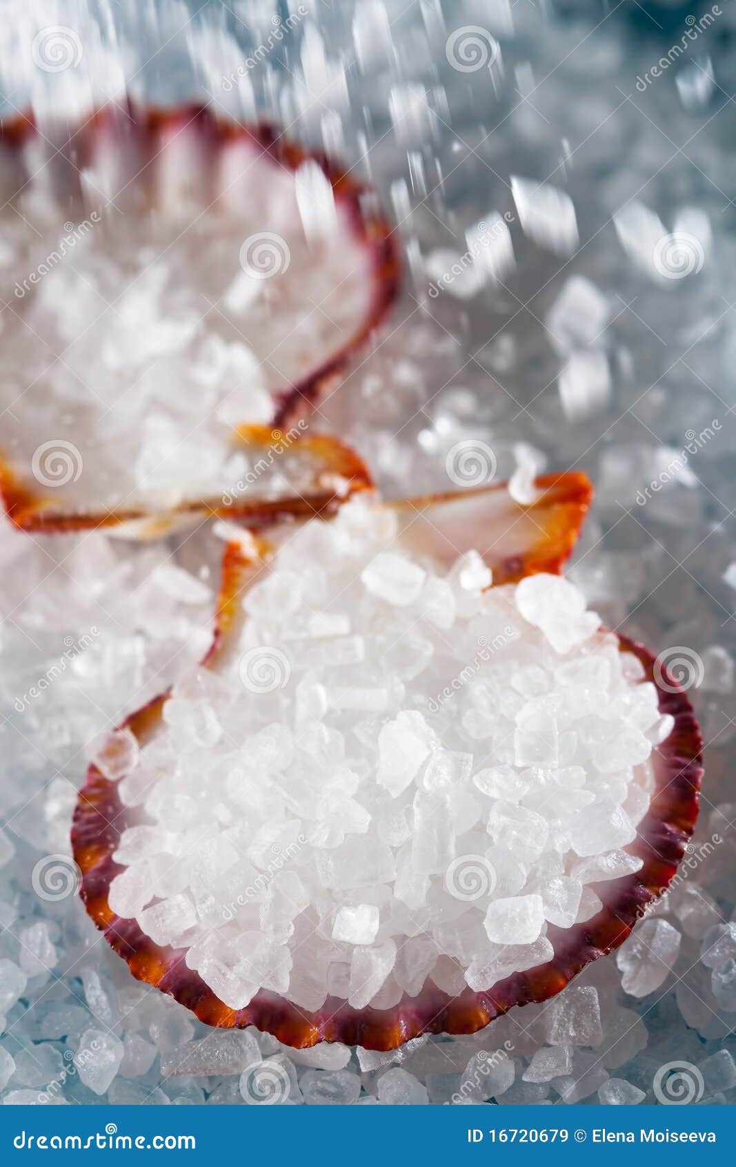 Pouring Sea Salt in a Shell on Salt Background Stock Image - Image of ...