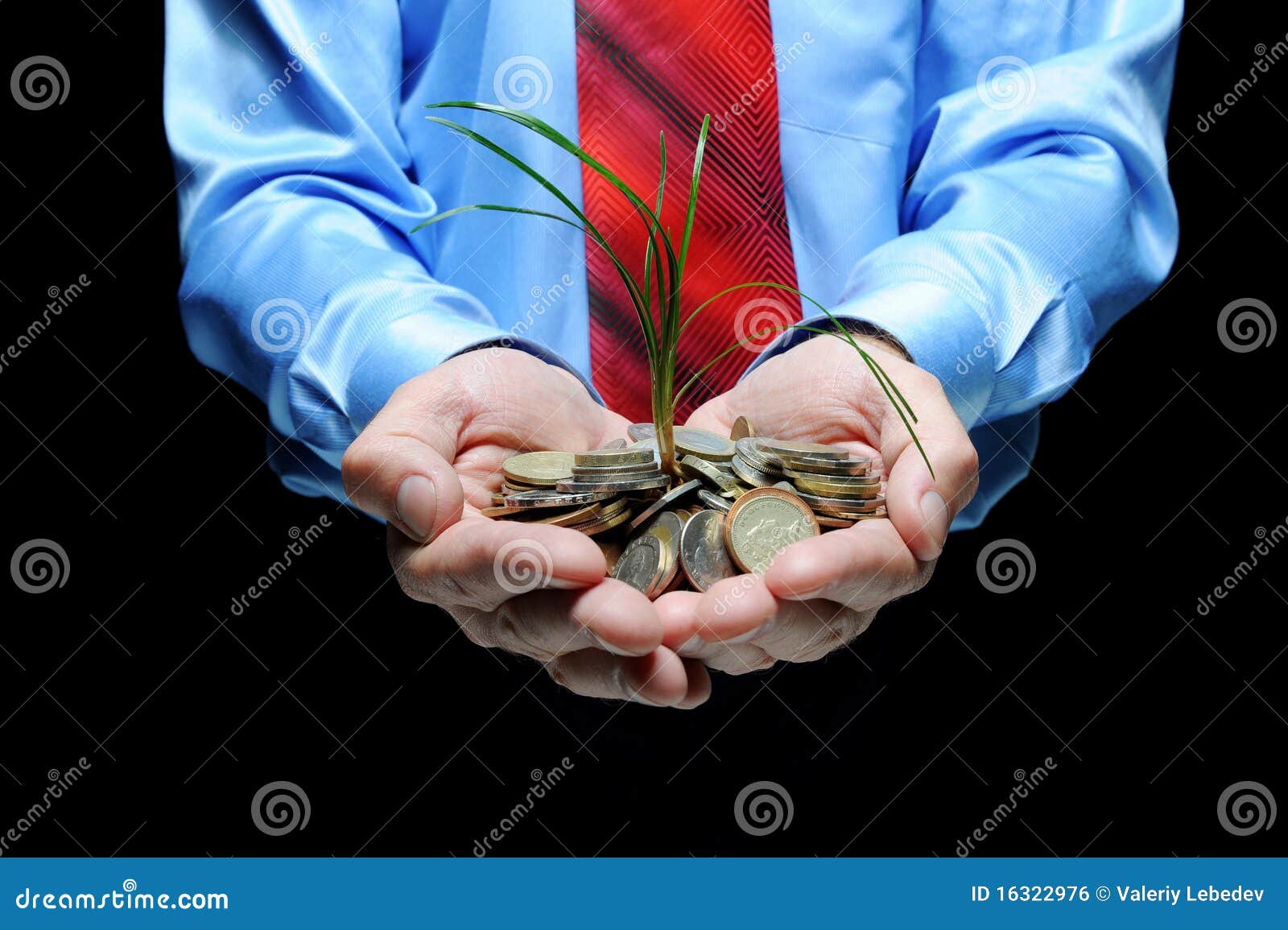 477 Photos de Germe Vert Et Pousse Rouge - Photos de stock gratuites et ...