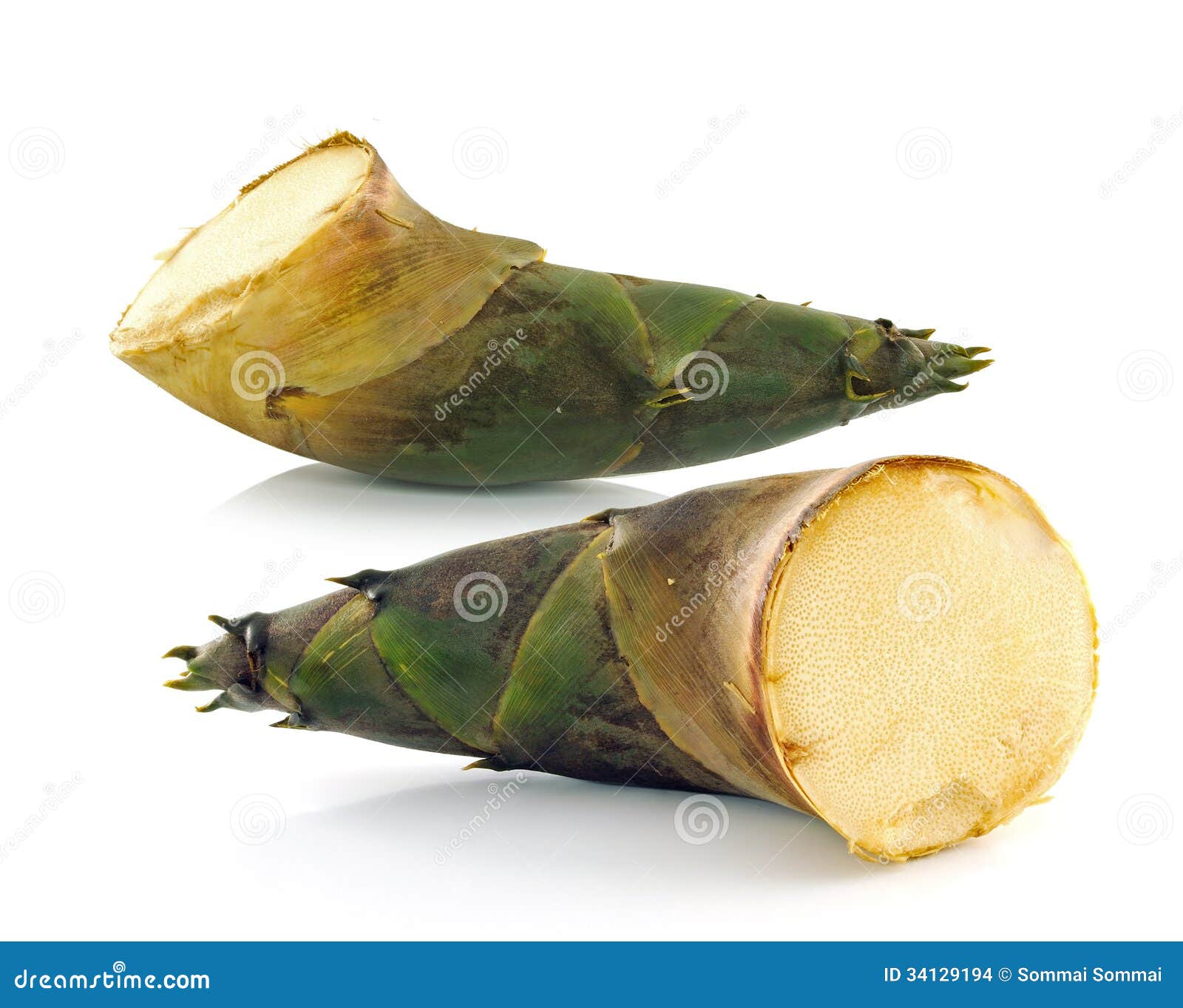 Pousse De Bambou Sur Le Fond Blanc Photo stock - Image du légume ...