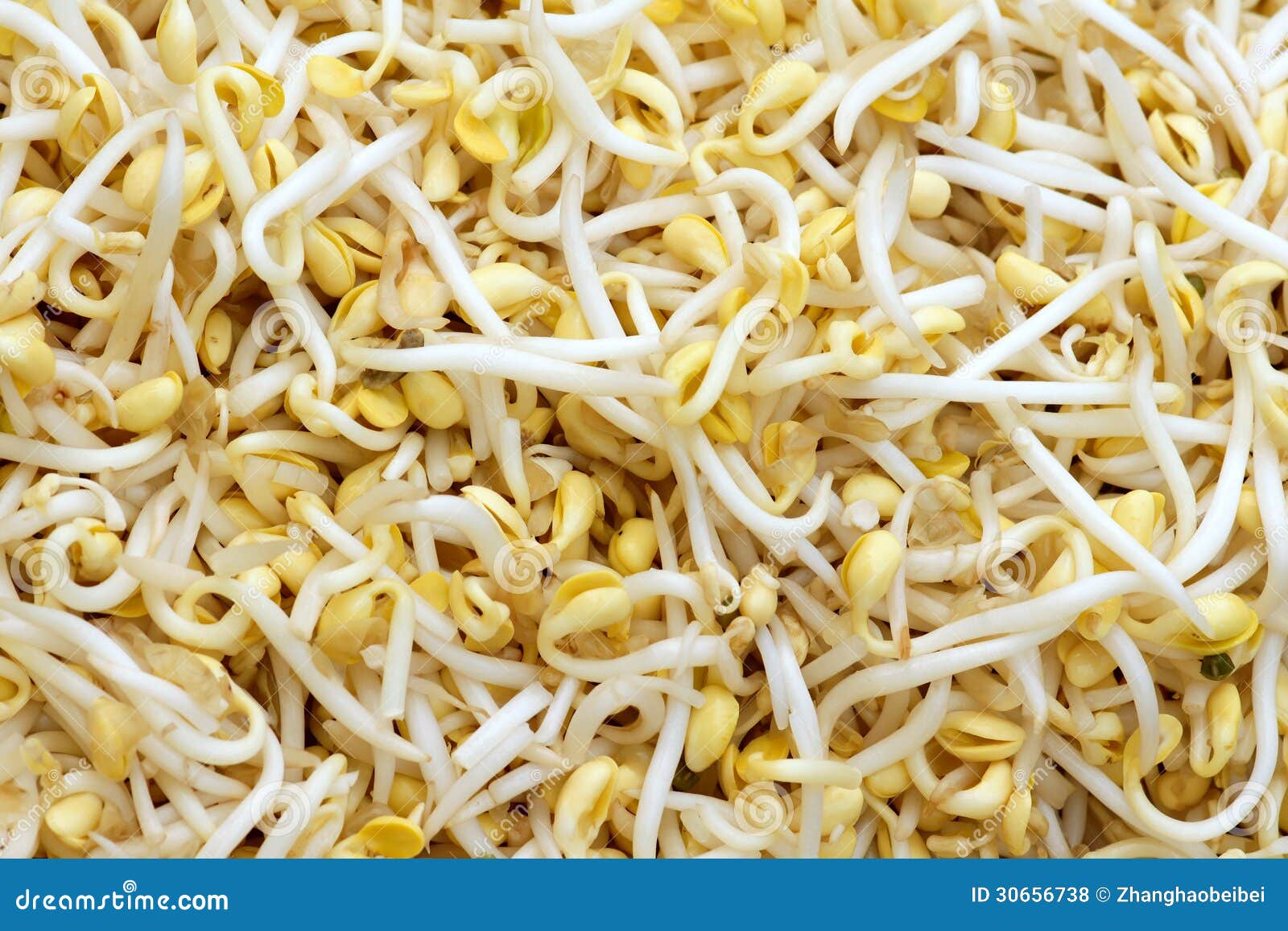 Pousse de soja photo stock. Image du graine, poste, nourriture - 30656738