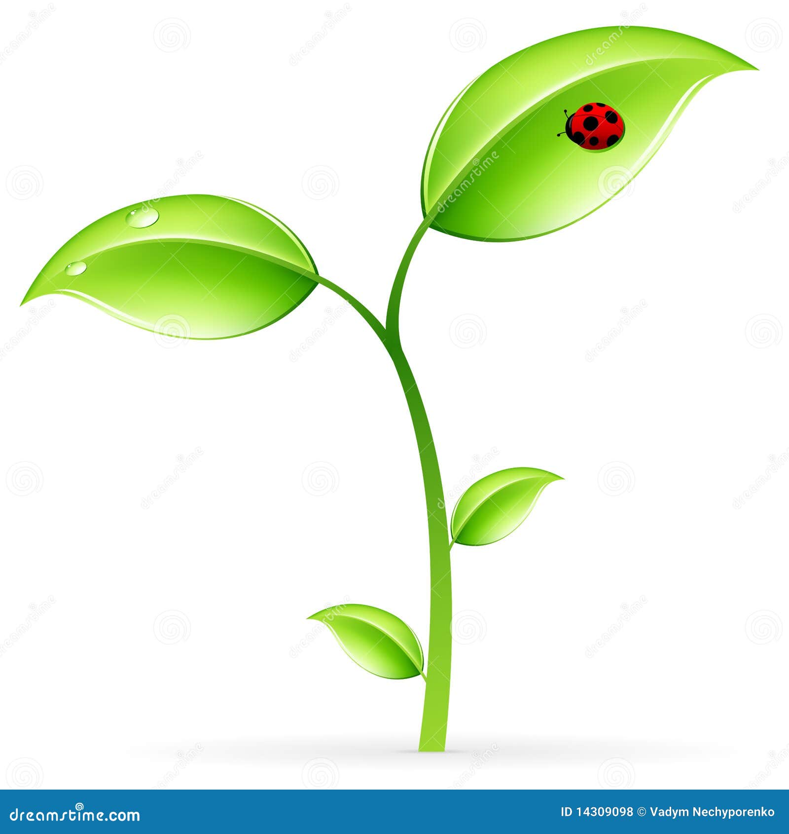 Pousse verte illustration de vecteur. Illustration du croissance - 14309098