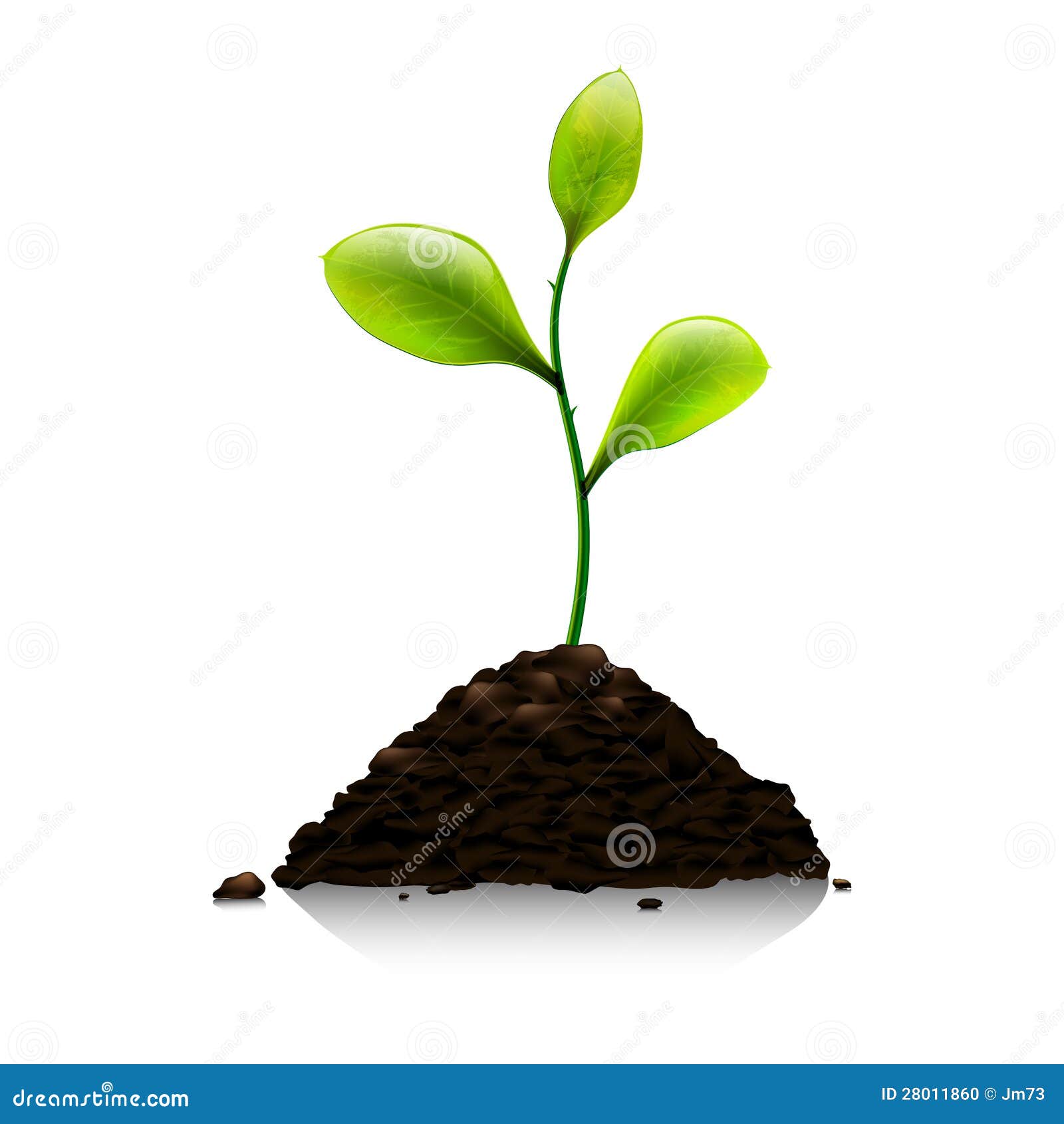 Pousse verte illustration de vecteur. Illustration du rural - 28011860