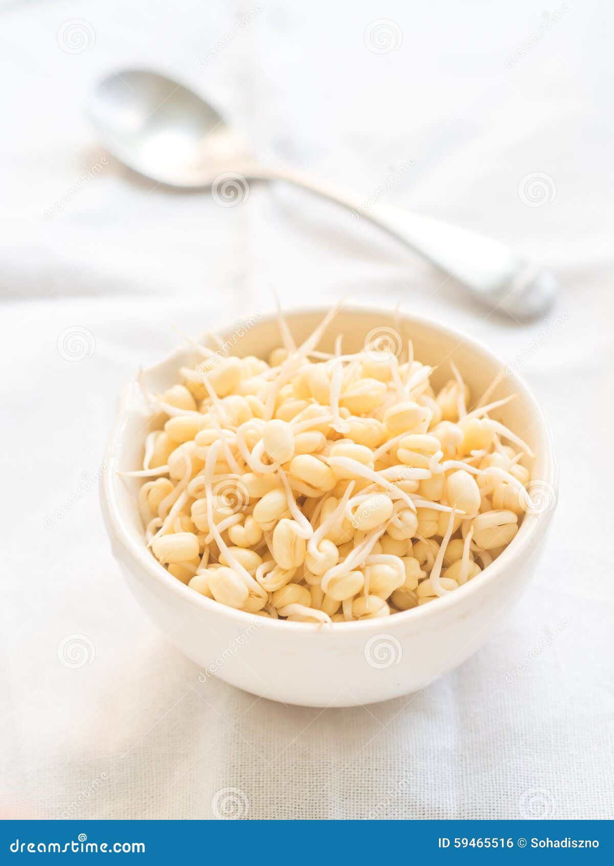 Pousses de soja photo stock. Image du ingrédient, clair - 59465516