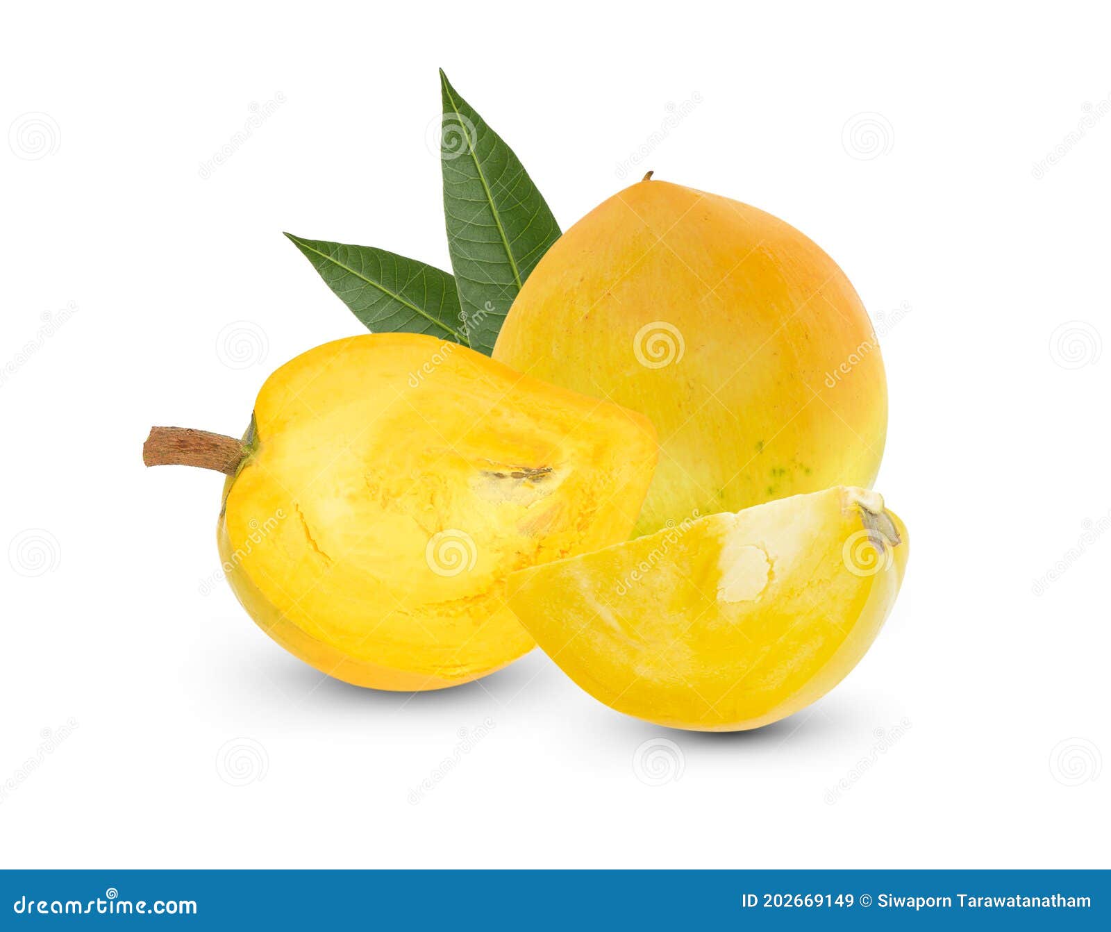 Pouteria Campechiana Fruit Isolated on White Stock Image - Image of ...