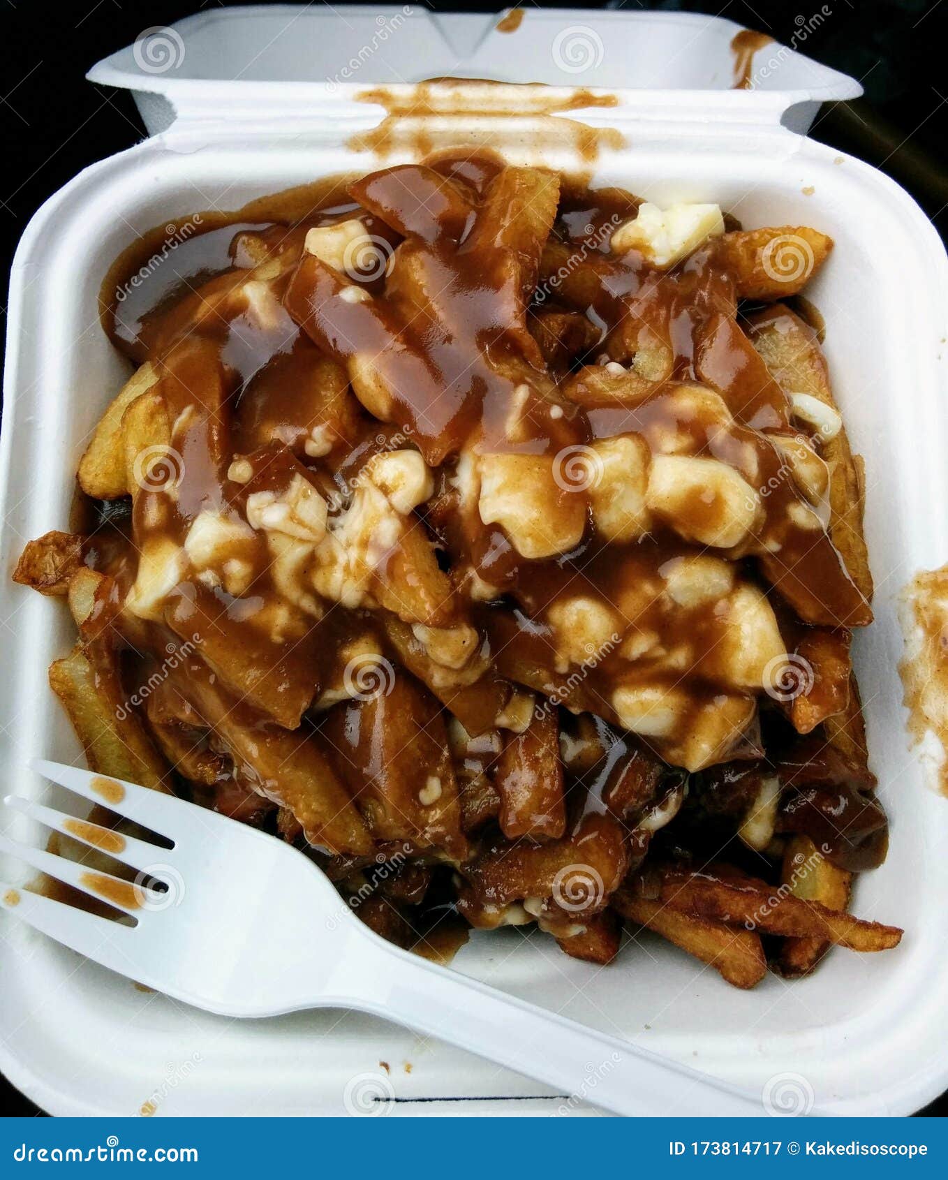 Poutine Takeout Dinner stock image. Image of gravey - 173814717