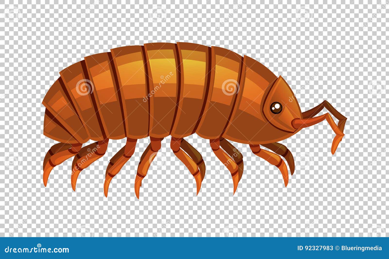 Poux Sur Le Fond Transparent Illustration de Vecteur - Illustration du ...