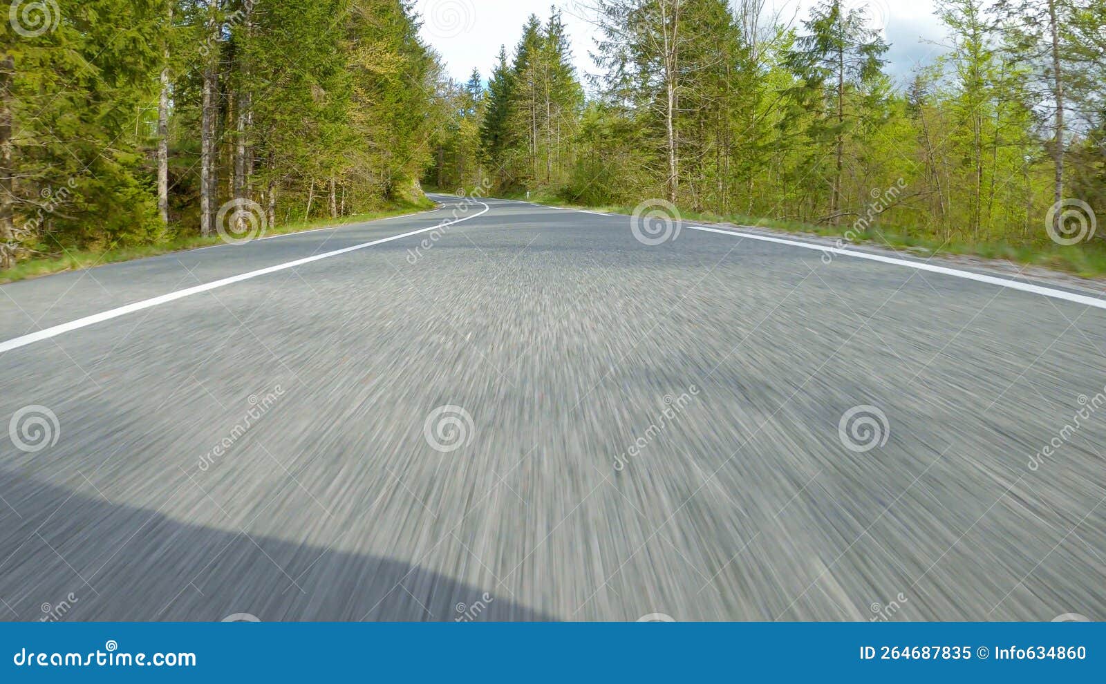 POV: Speeding Down Empty Winding Road Running through Forest in a Fast ... POV: Speeding Down Empty Winding Road Running through Forest in a Fast ...