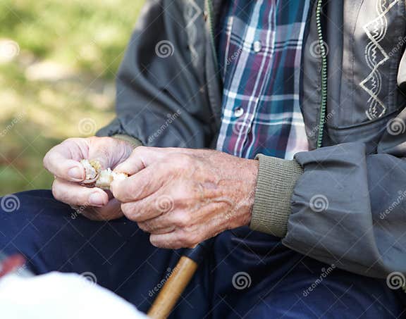 Elderly Poor Man Eating Bread Stock Image - Image of pension, cane ...