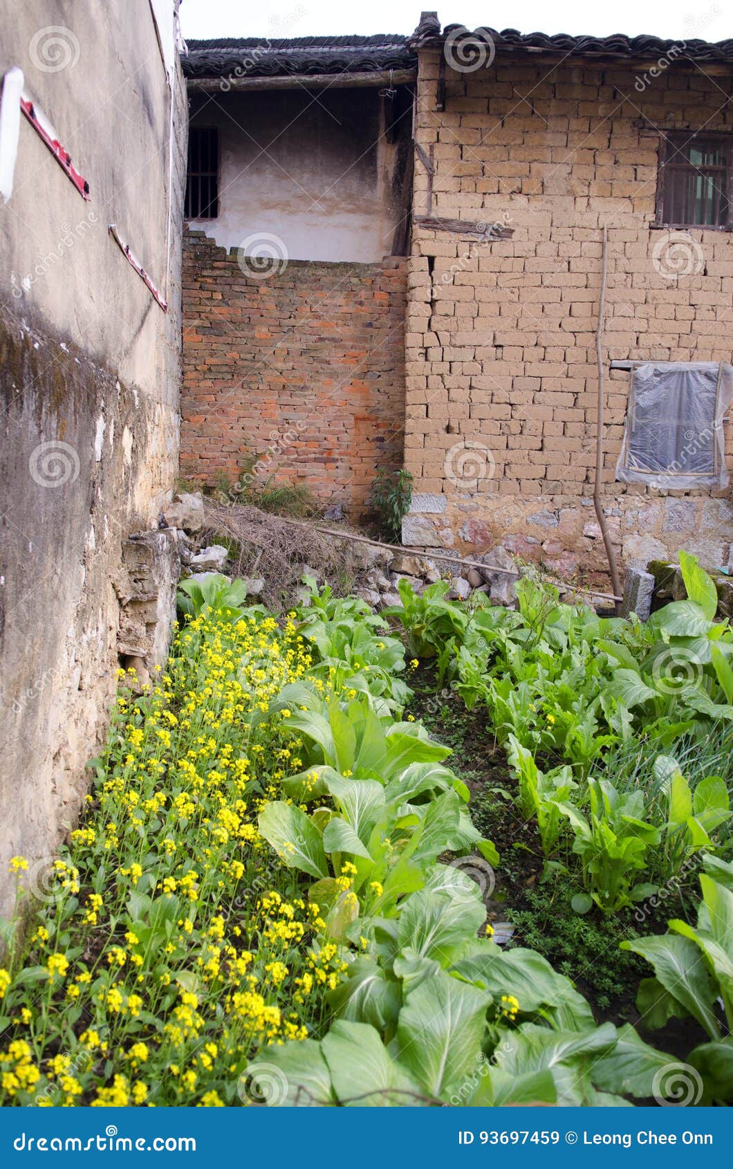 Poverty - Poor Housing in a Village Stock Image - Image of poor ...