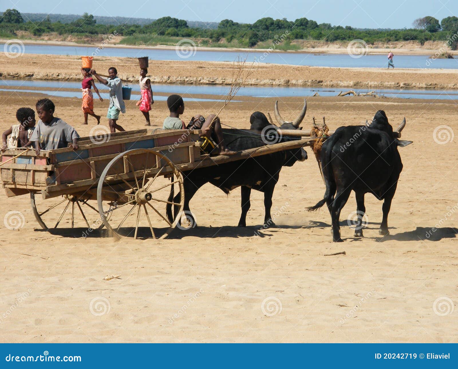 Povos malgaxes nativos imagem de stock editorial. Imagem de africanos ...
