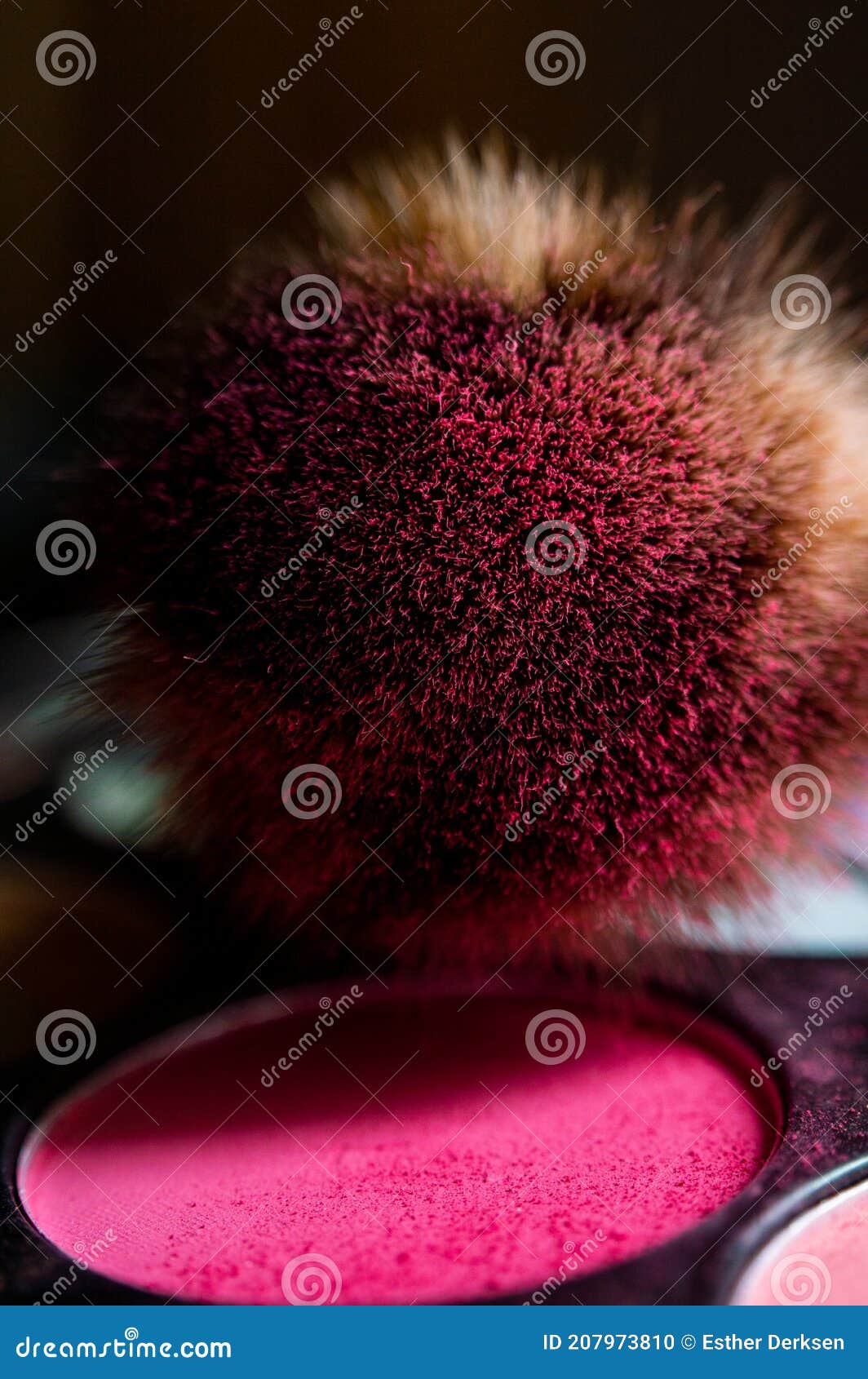 Powder Brush with Pink Blush Stock Photo - Image of closeup, beauty ...