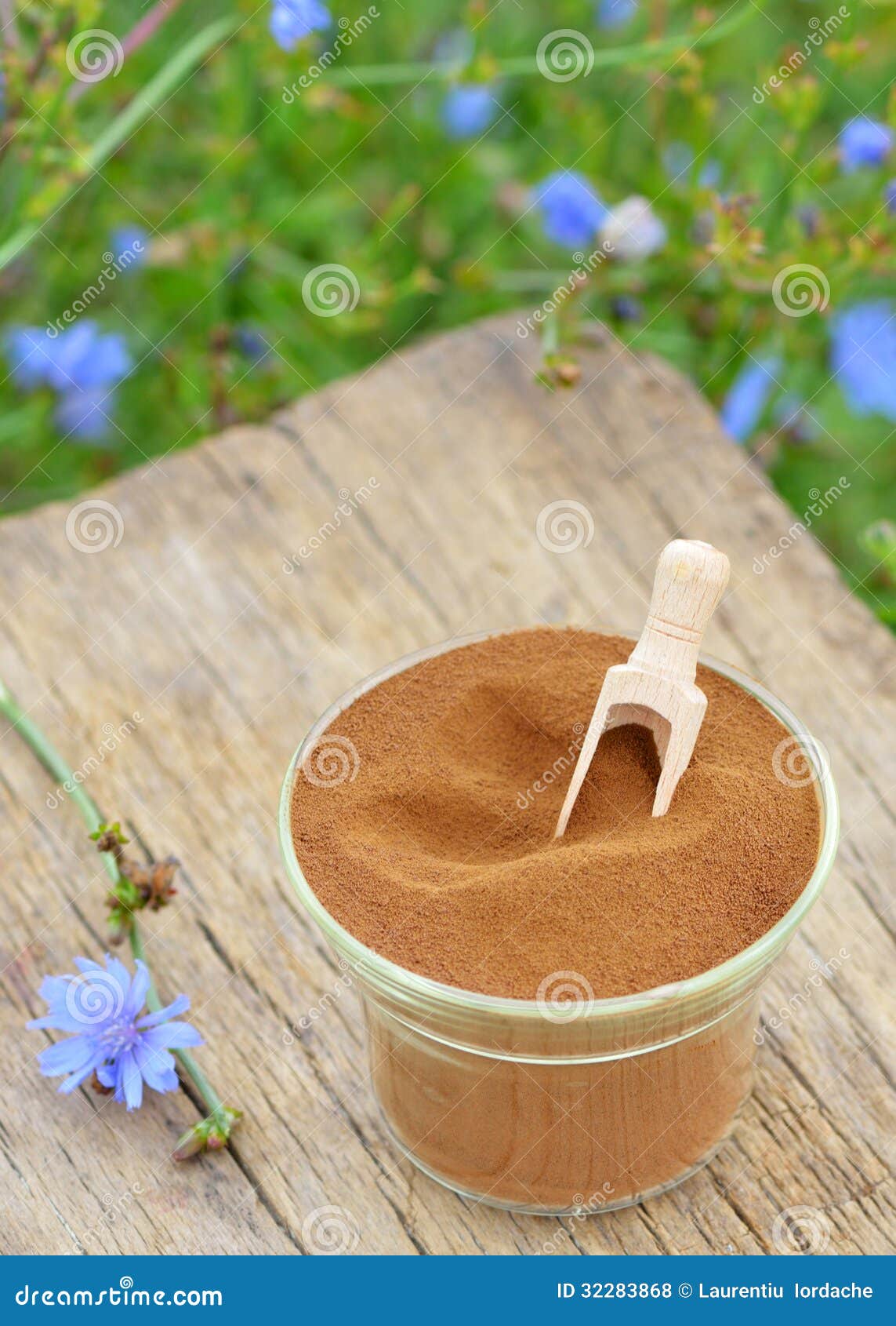 Powder chicory stock photo. Image of flower, extract - 32283868