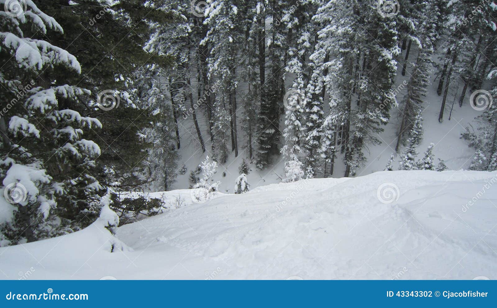 Powder Day in Utah stock photo. Image of side, cloudy - 43343302