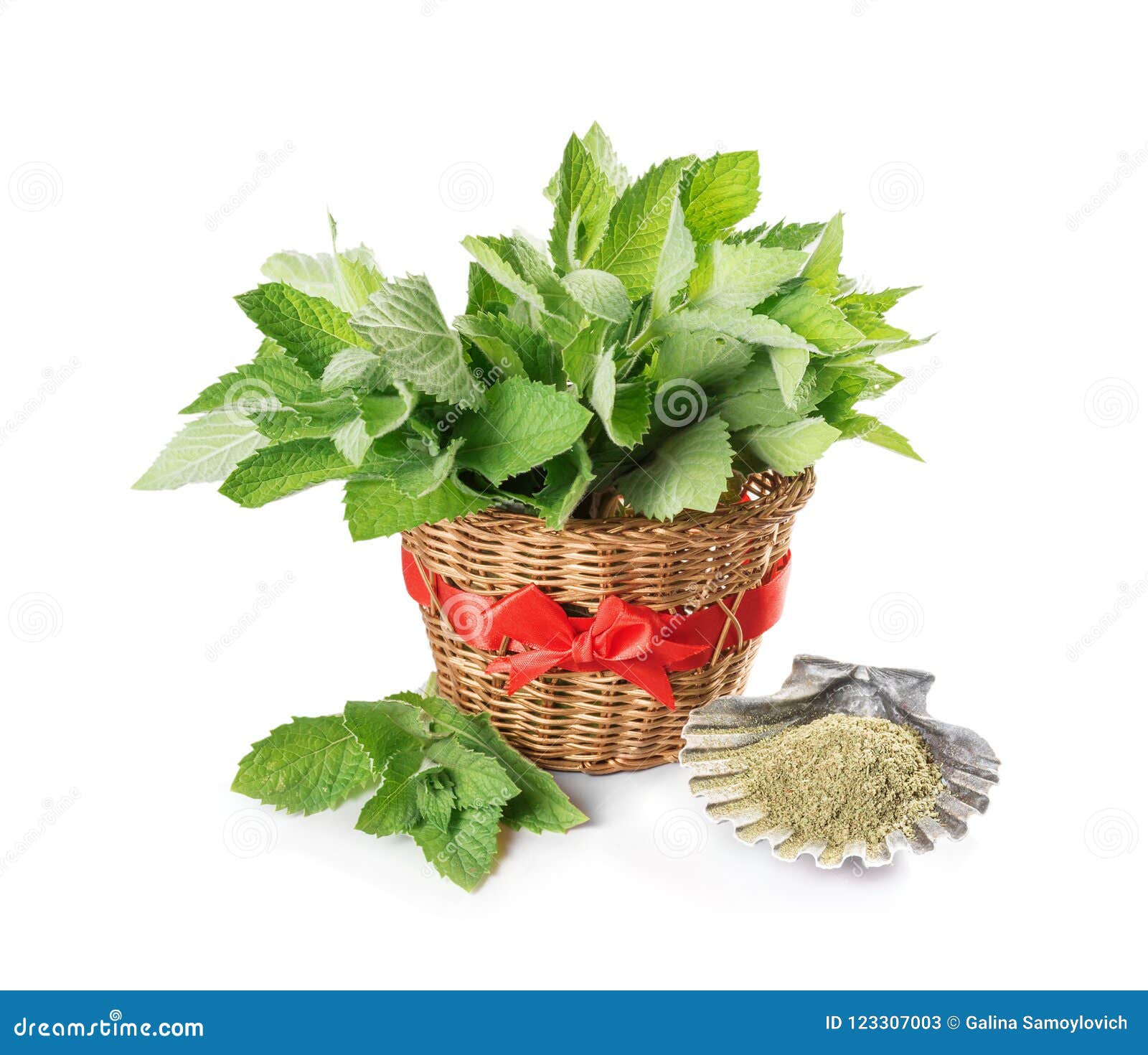Powder from Dry Sage with a Fresh Branch of Sage. Stock Image - Image ...
