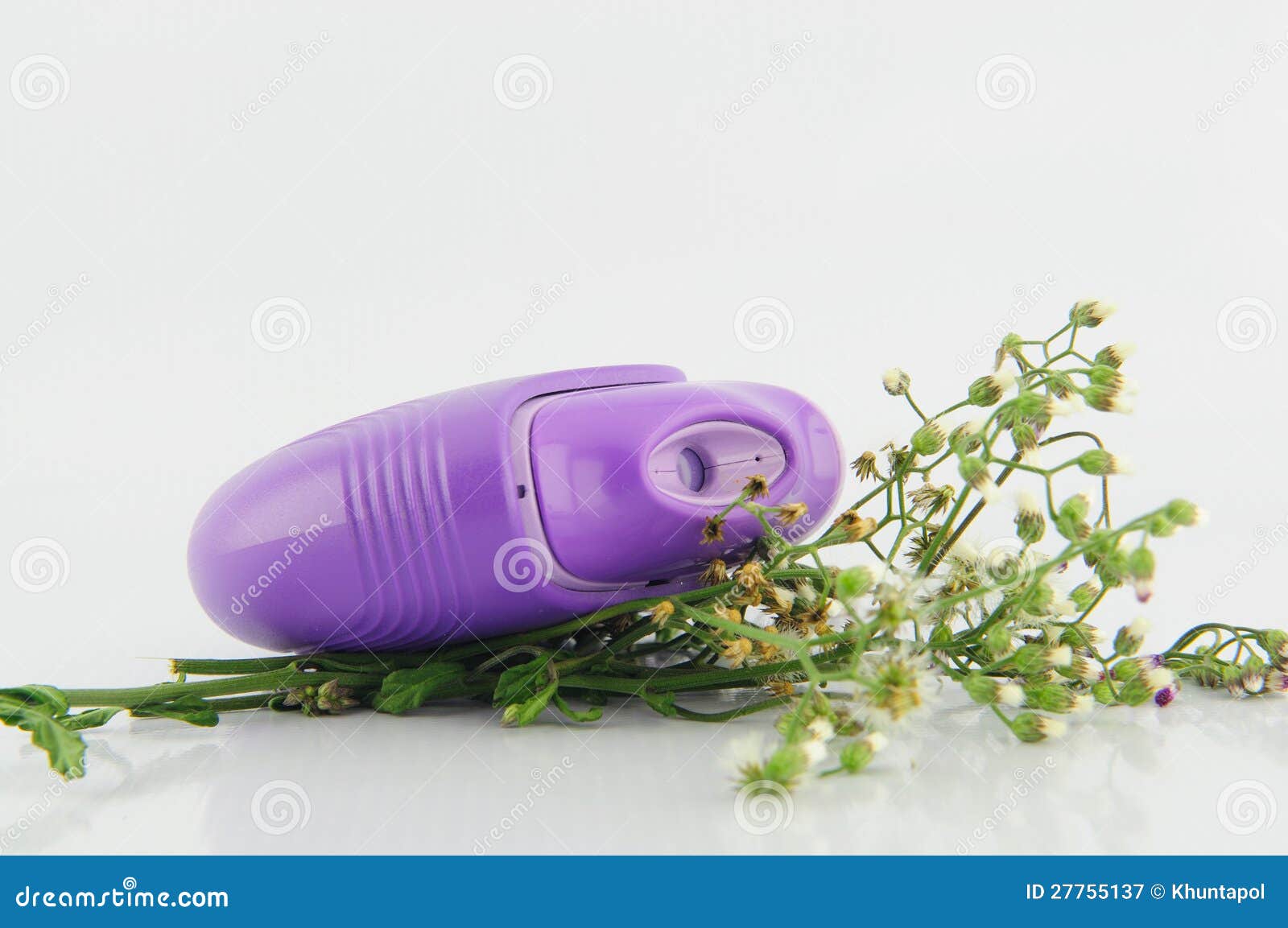 Powder Inhaler and Flower of Grass Stock Image - Image of illness ...