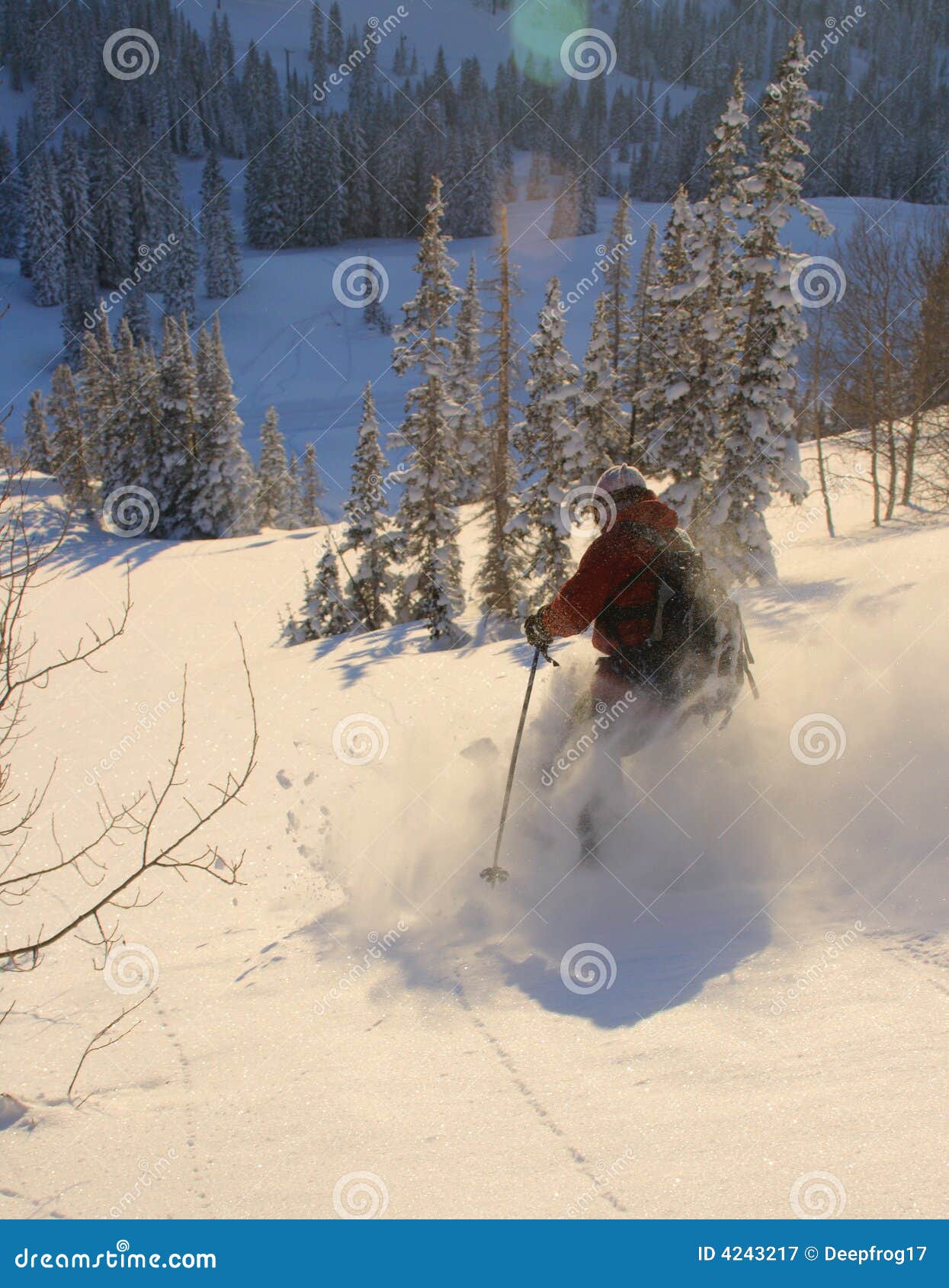 Powder skiing stock image. Image of ease, colorado, heightened - 4243217