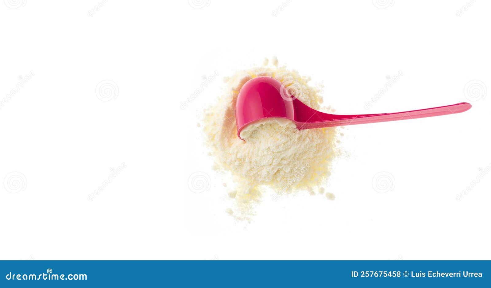 Powdered or Dehydrated Milk in the Pink Spoon Stock Photo - Image of ...