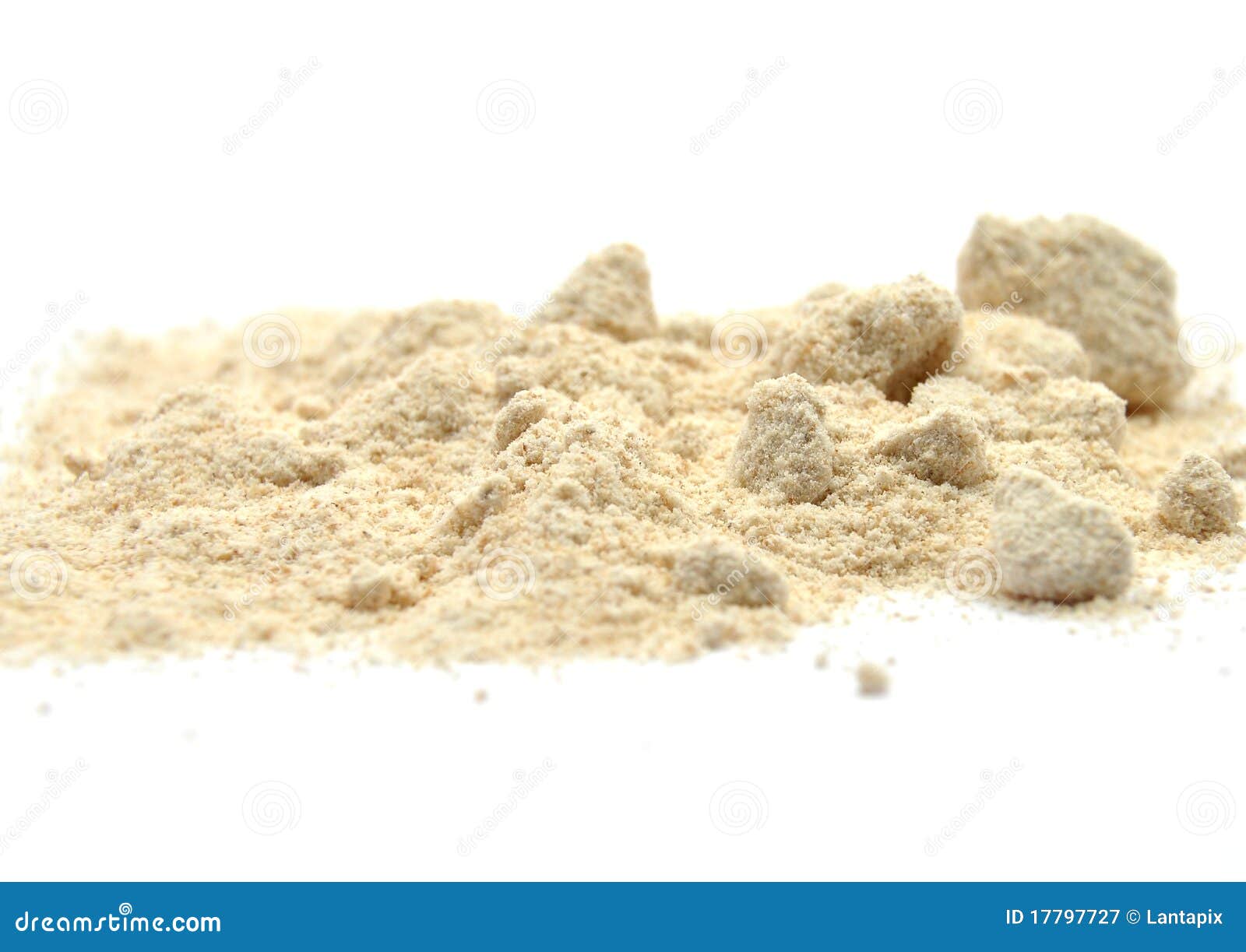 Powdered hazelnuts stock image. Image of isolated, macro - 17797727