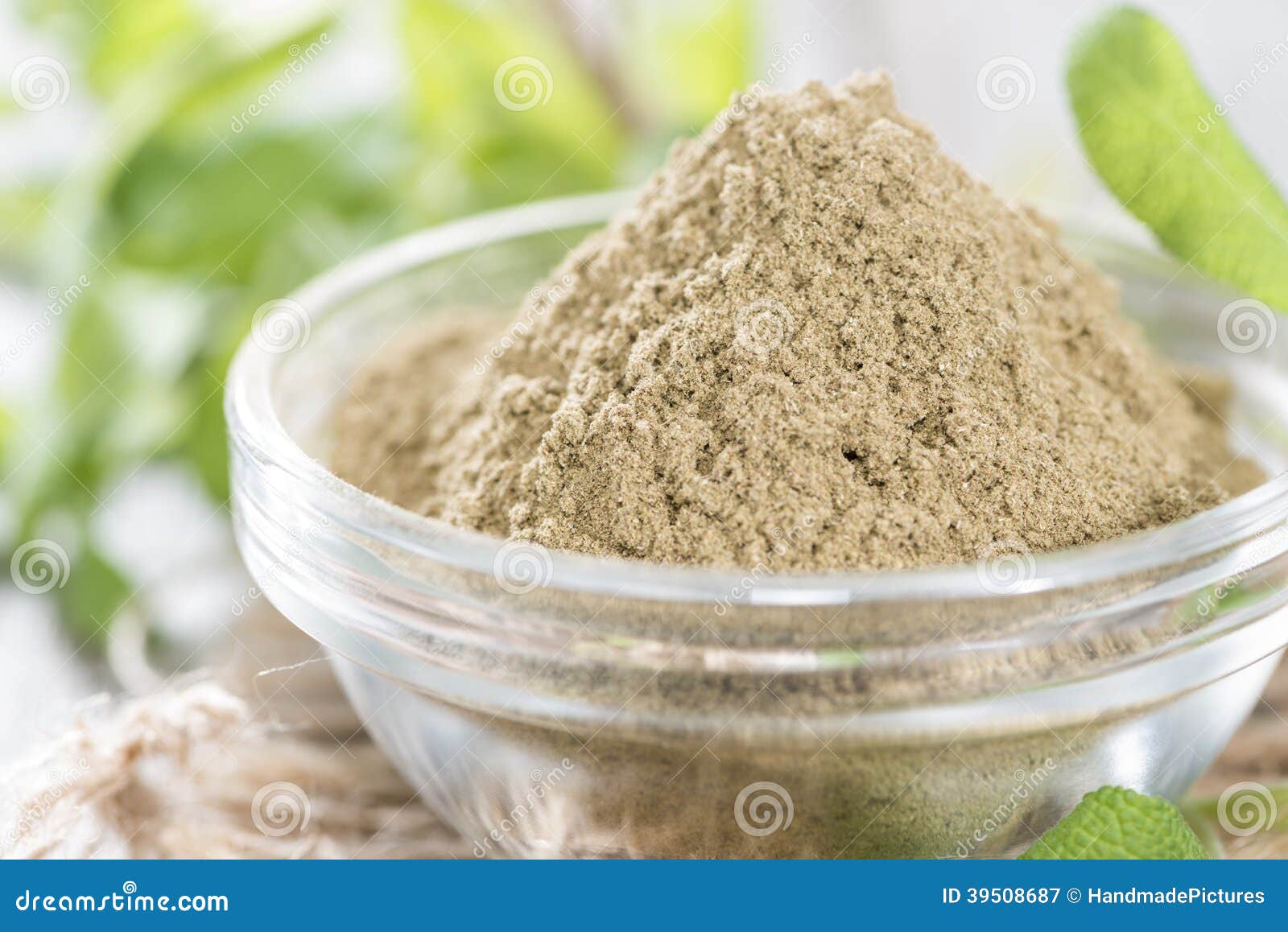 Powdered Sage stock image. Image of closeup, freshness - 39508687