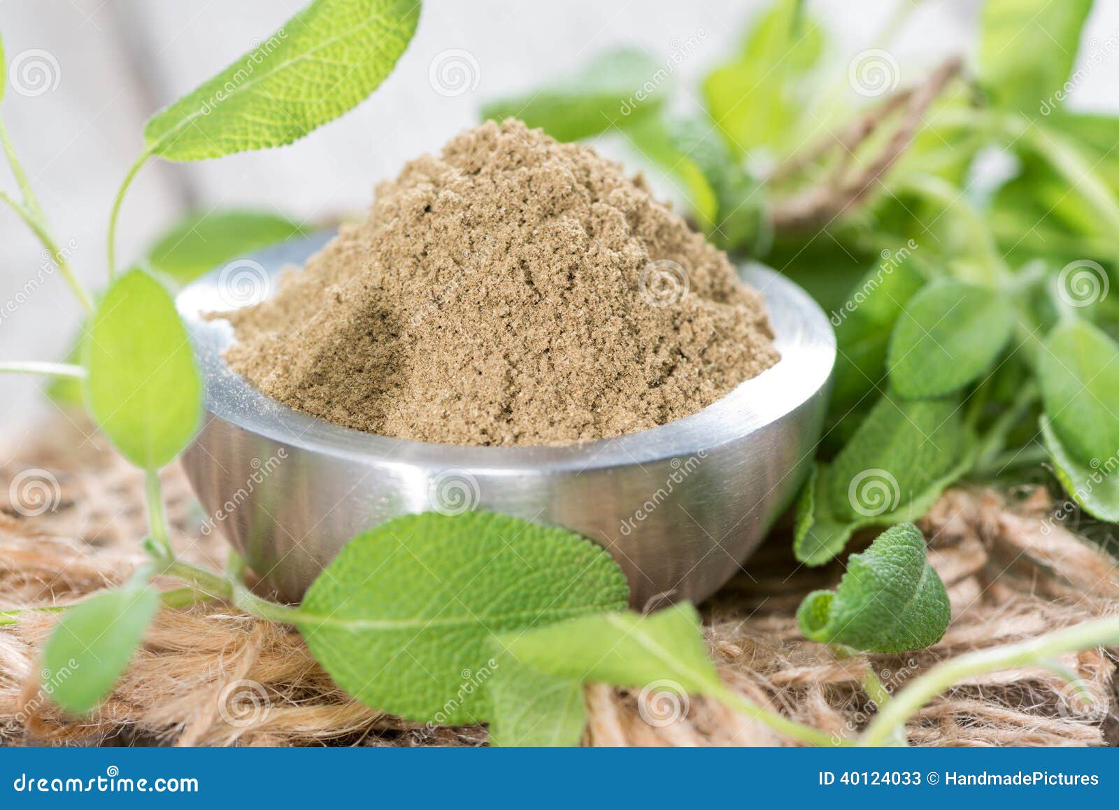Powdered Sage stock image. Image of closeup, officinalis - 40124033
