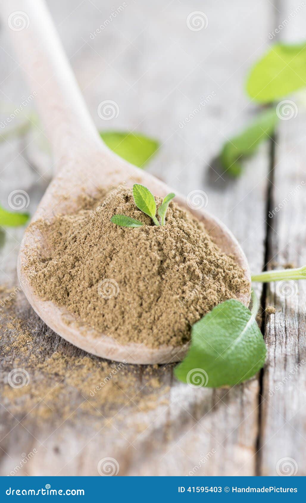 Powdered Sage stock image. Image of green, macro, food - 41595403