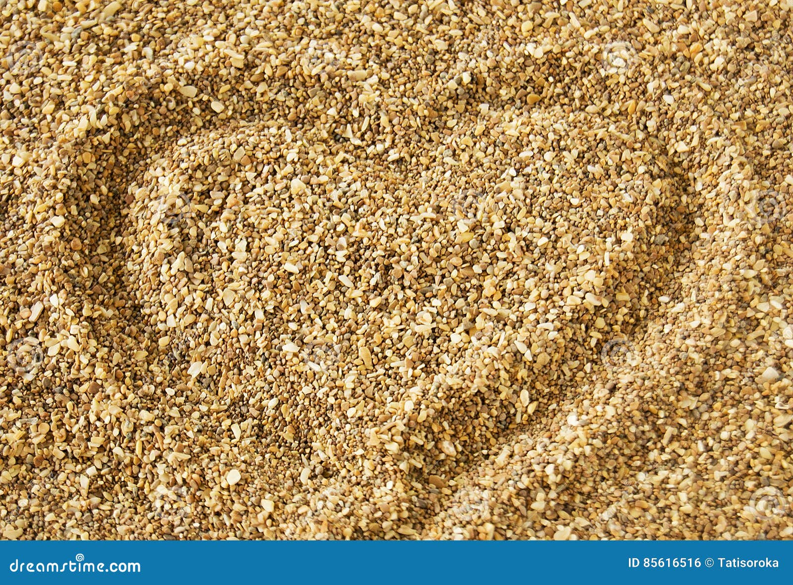 Powdered sea shell stock photo. Image of assortment, delight - 85616516