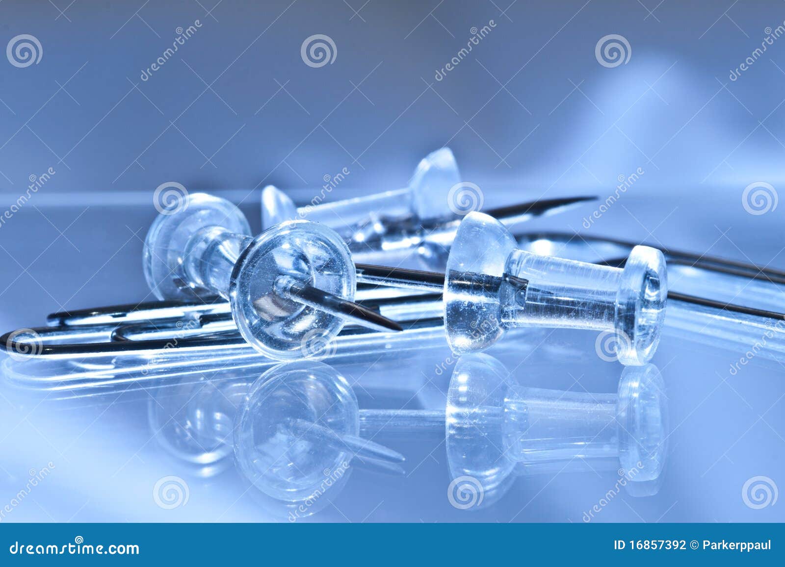 The Power of Blue at the Office Stock Photo - Image of class, pink ...