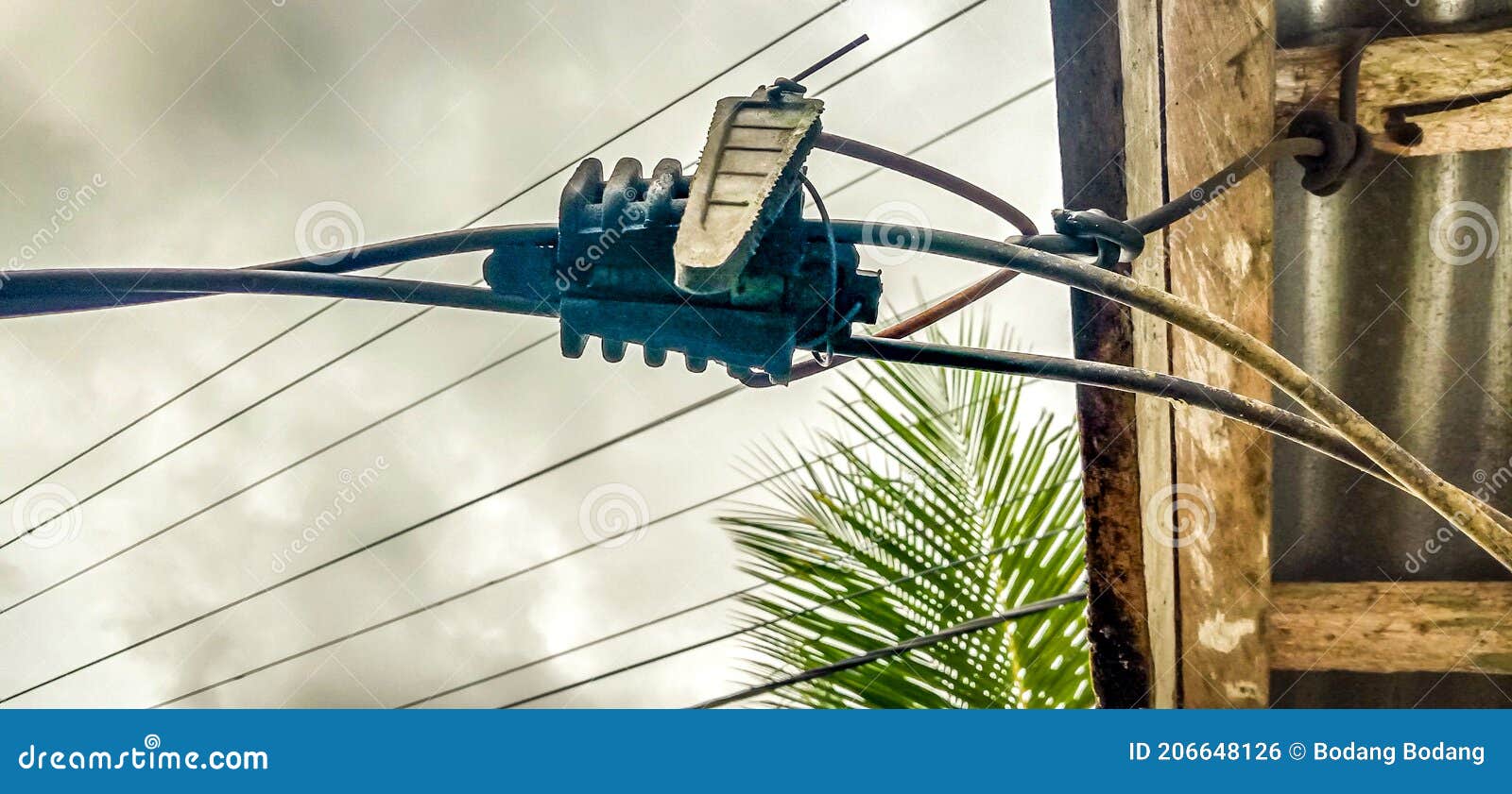 Power cable connection stock photo. Image of tree, wing - 206648126