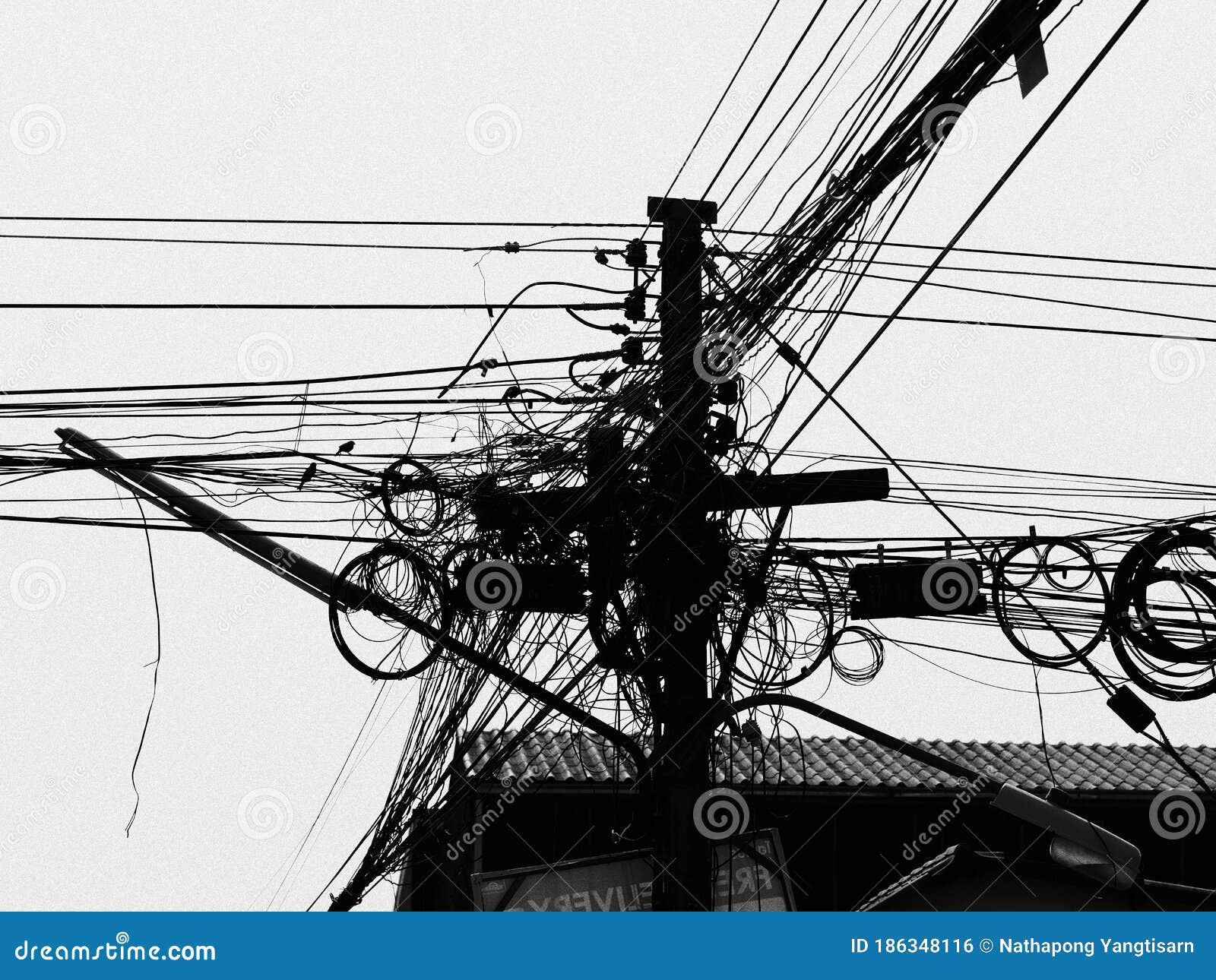 Power cable tangle stock photo. Image of connection - 186348116