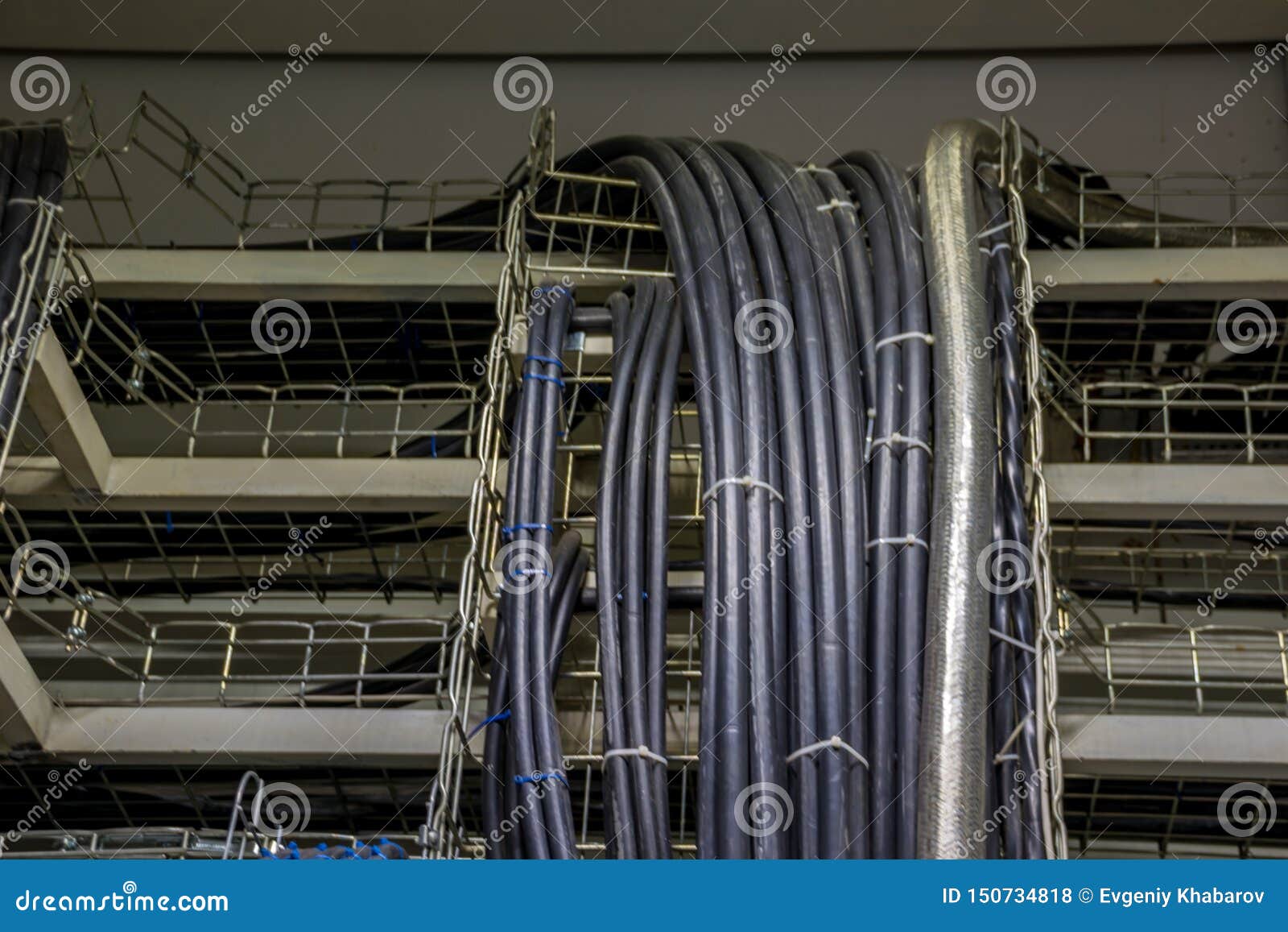Power Cables in the Trays in the Switchgear. Stock Photo - Image of ...
