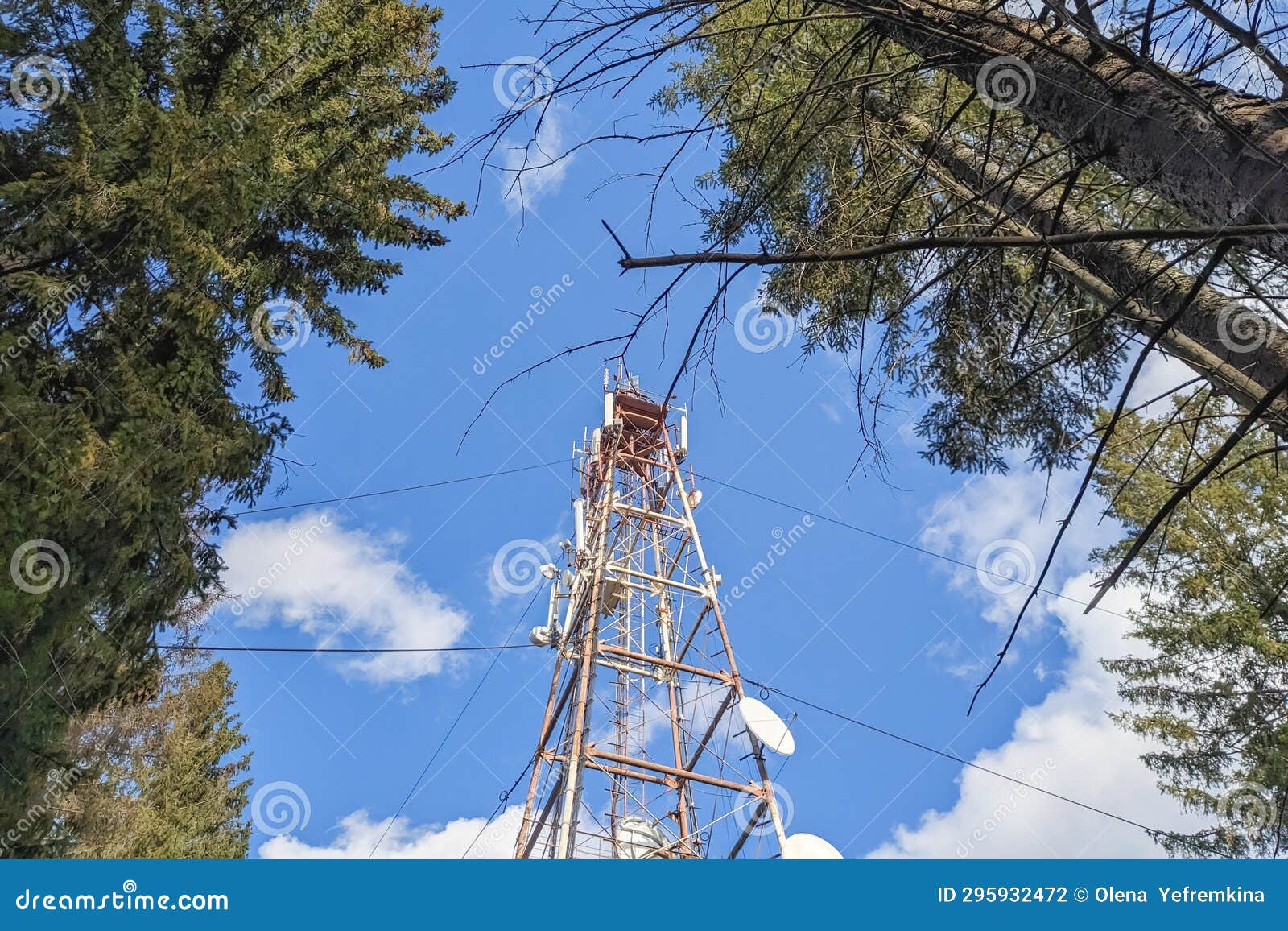 Power and Communication Tower with Satellite Dish with Trees View from ...