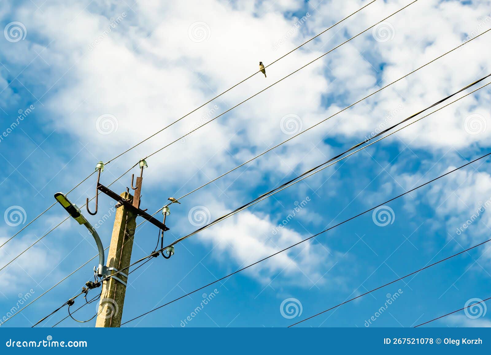 Power Electric Pole with Line Wire on Colored Background Close Up Stock ...
