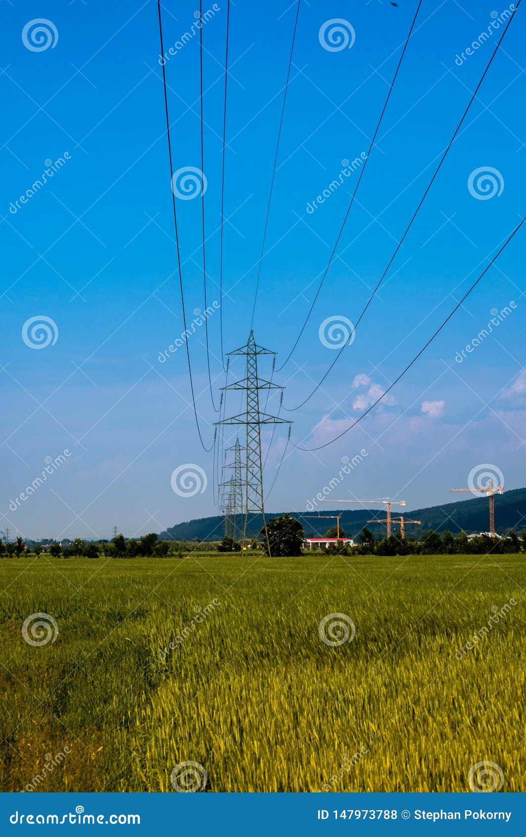 Power Electricity Cable Over a Field Stock Photo - Image of industrial ...