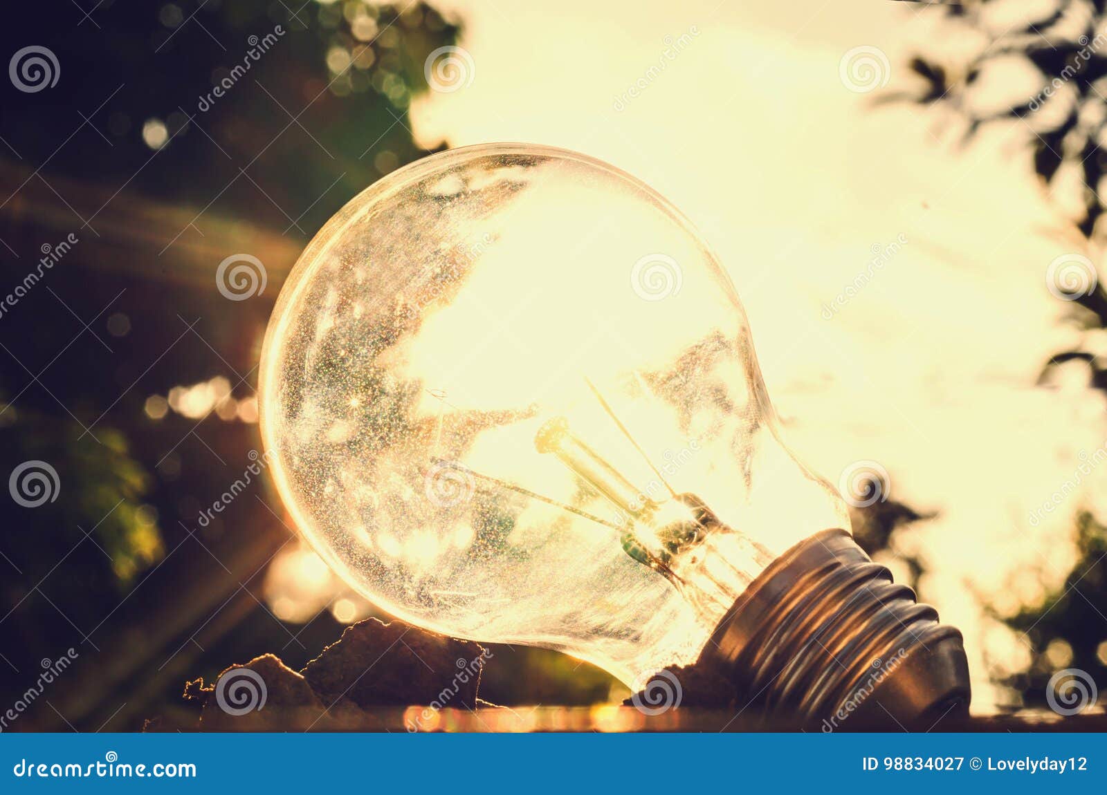 Power Energy in Nature and Light Bulb with Sunset Concept Elect Stock ...