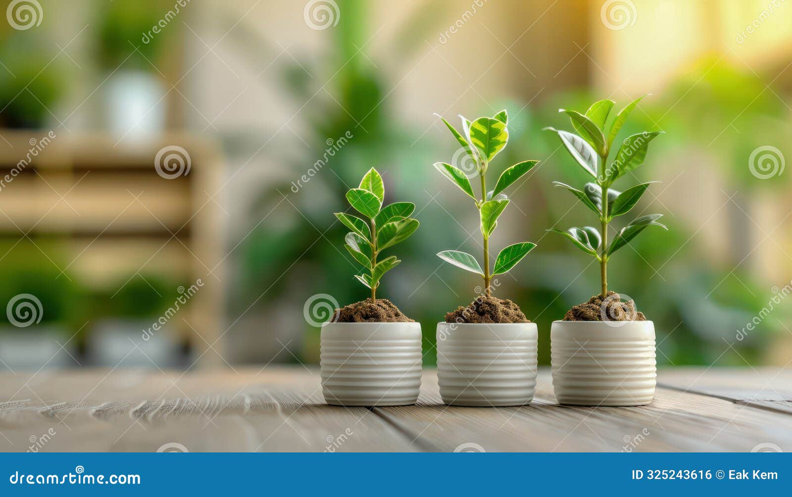 The Power of Evolution How Corporations Achieve Triumph through ...