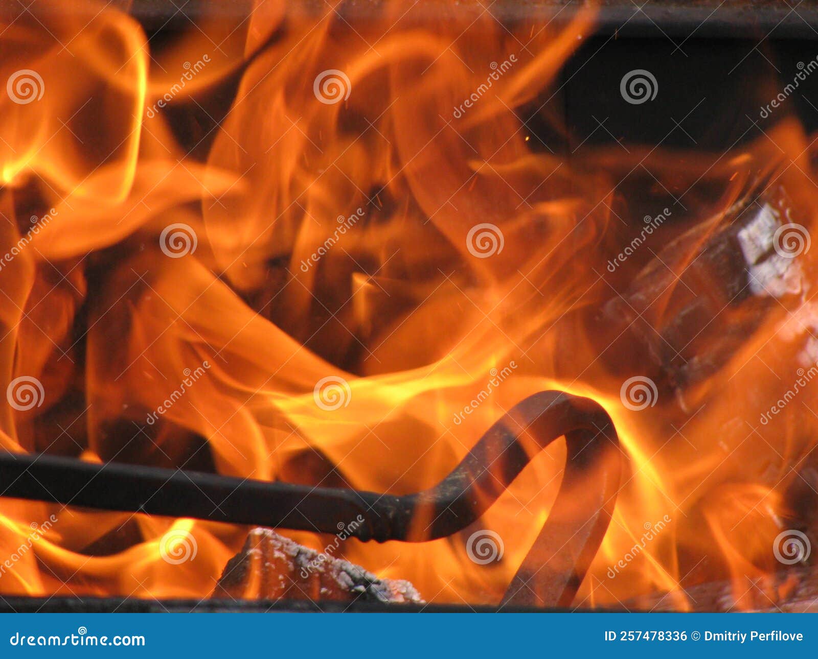 The power of fire stock photo. Image of campfire, darkness - 257478336