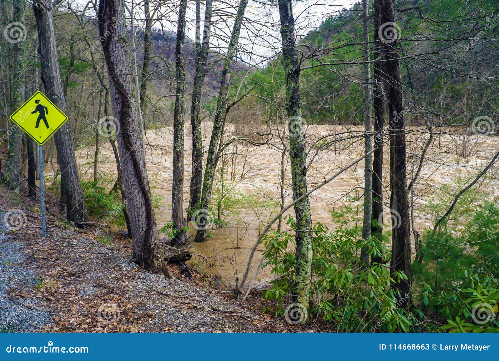 The Power of the Flooding of the Maury River Stock Image - Image of ... The Power of the Flooding of the Maury River Stock Image - Image of ...