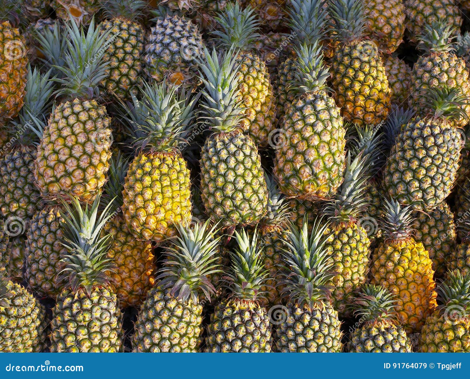 Power Food stock image. Image of frame, pineapple, food - 91764079