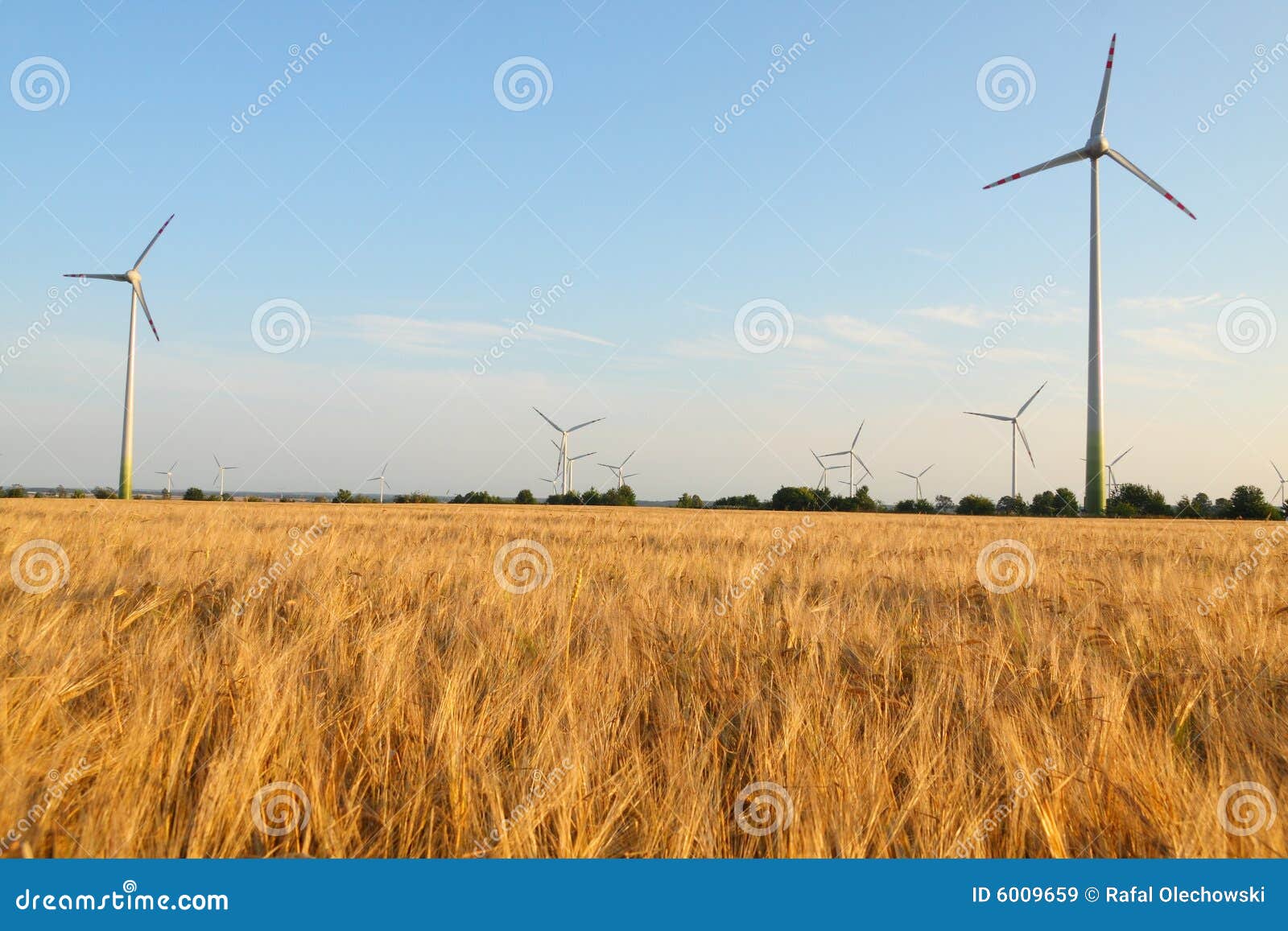 Power Generating Wind Turbines on Rye Field Stock Image - Image of ...