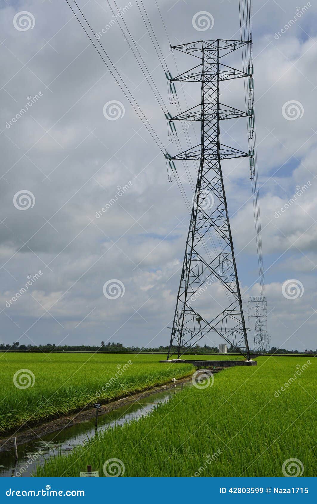 Power Grid in Paddy Field stock image. Image of malaysia - 42803599