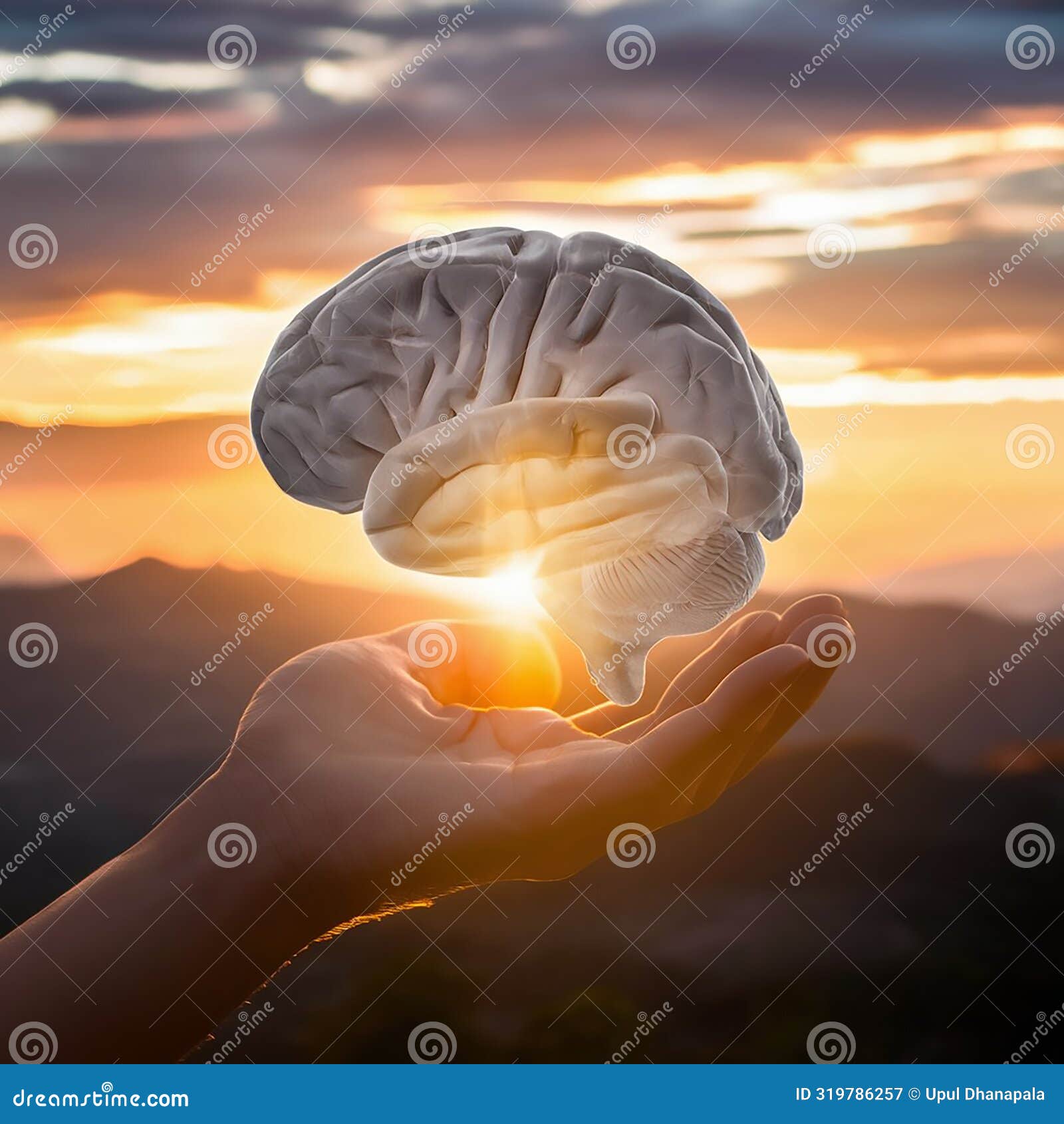 POWER of HUMAN BRAIN and it is STRUCTURE Stock Illustration ...